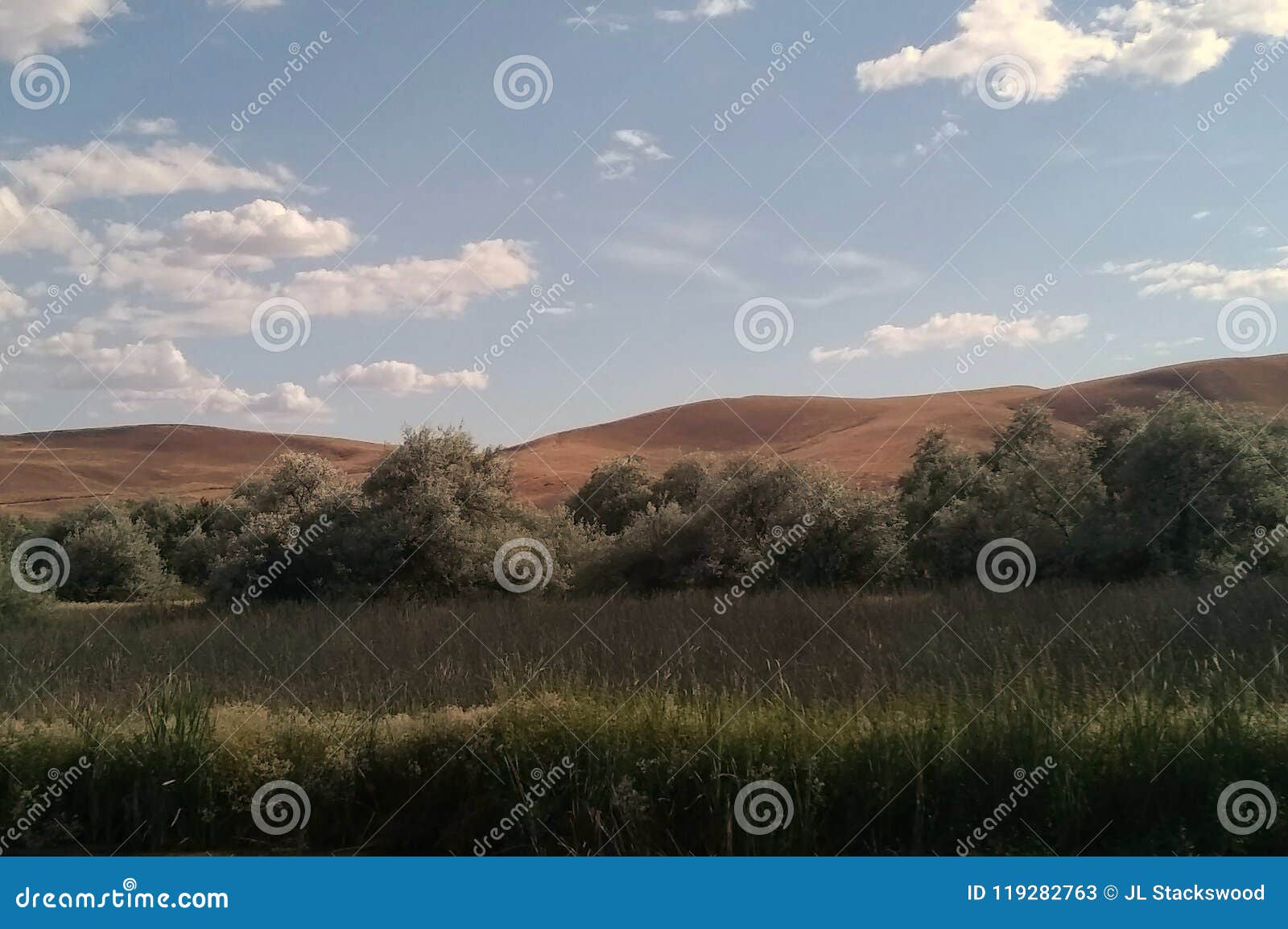 High Desert, Eastern Washington State Stock Image - Image of washington ...