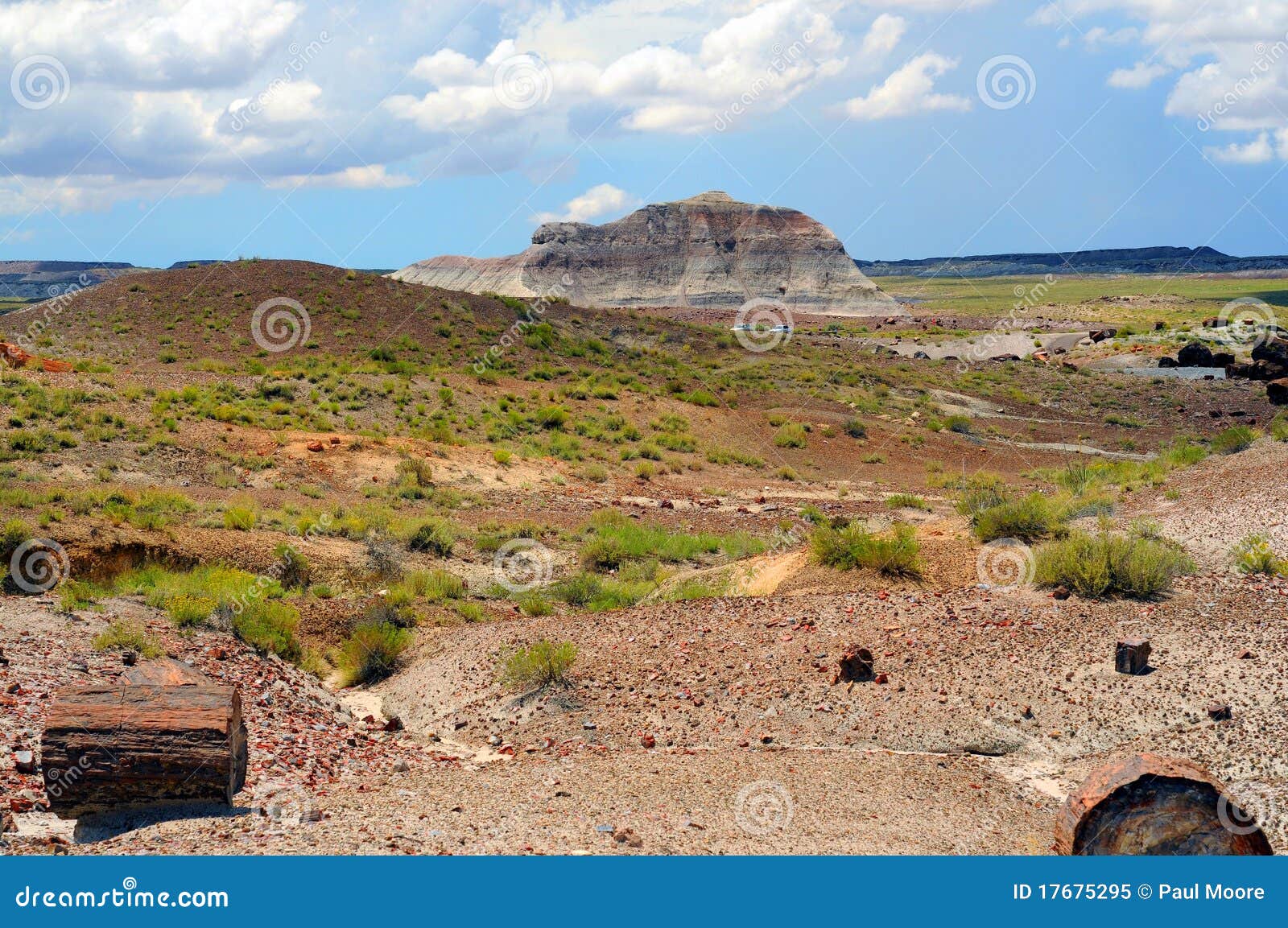 High Desert Landscape stock image. Image of wood, park - 17675295