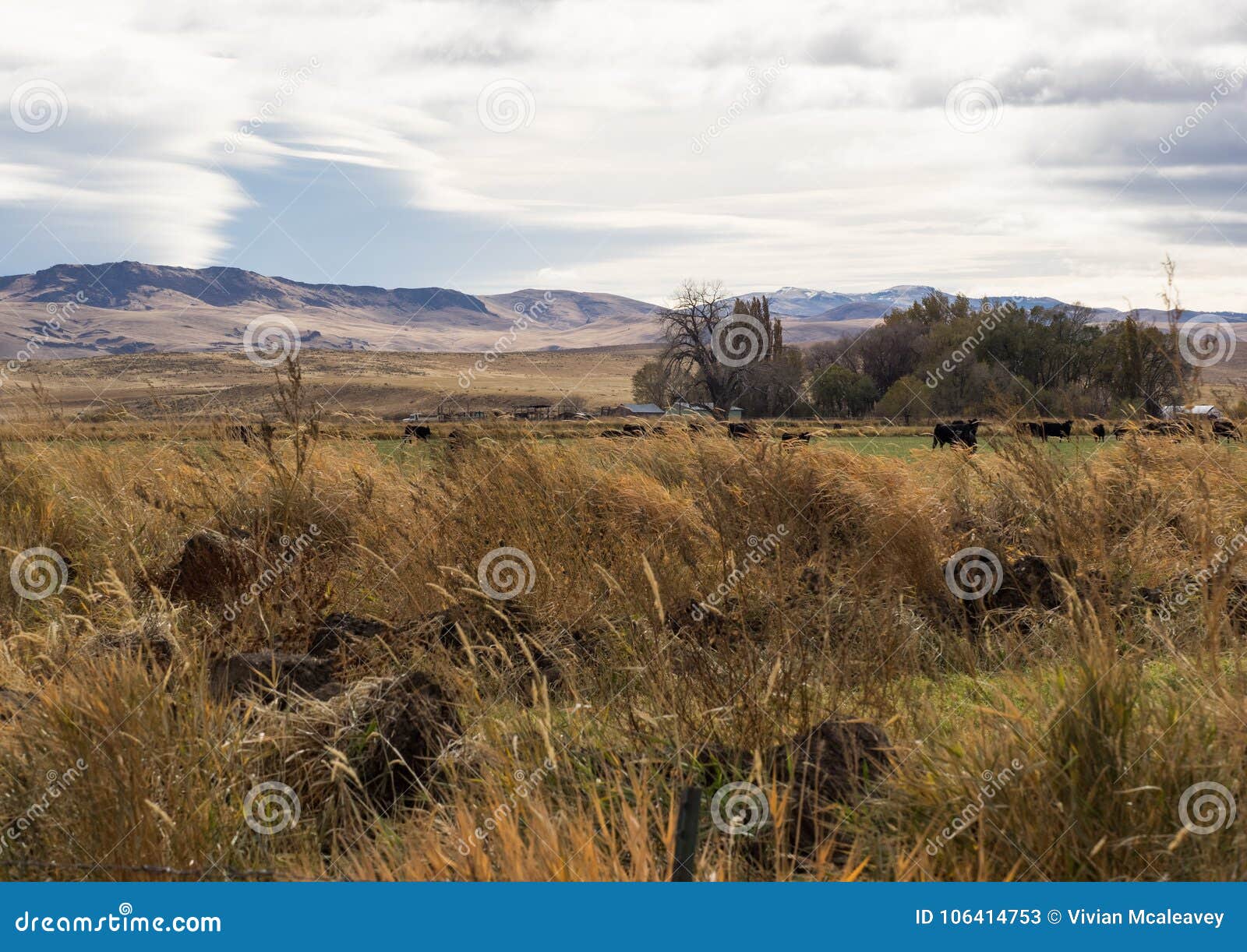 High desert landscape stock image. Image of autumn, eastern - 106414753