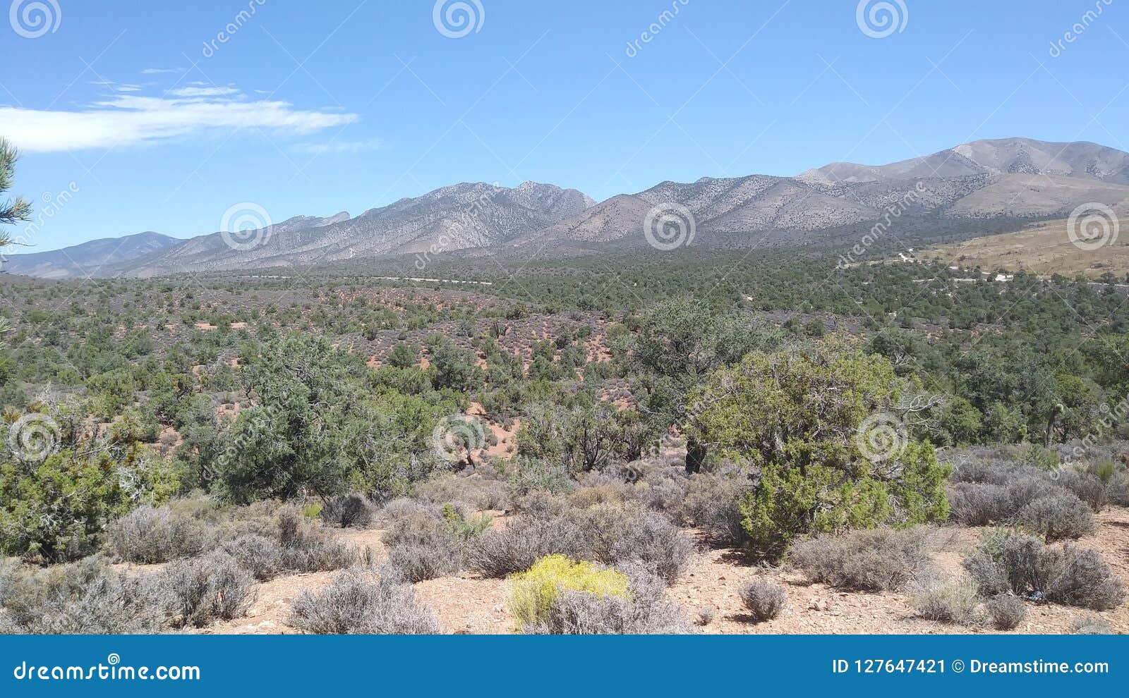 High desert stock image. Image of beautiful, desert - 127647421