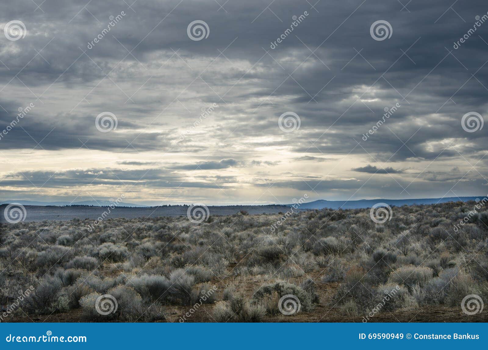 High Desert Landscape stock image. Image of landscape - 69590949