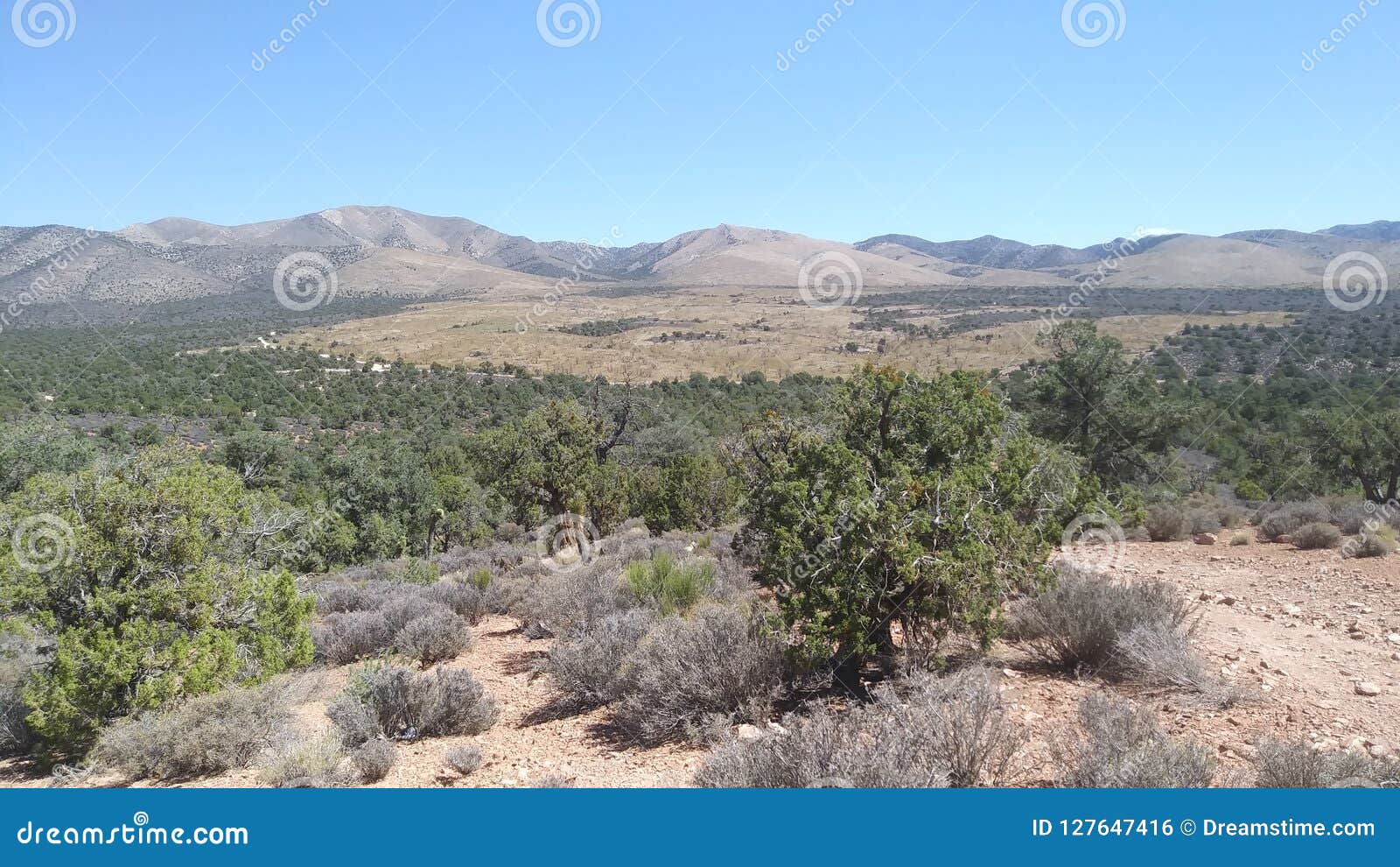 High desert stock photo. Image of desert, landscape - 127647416
