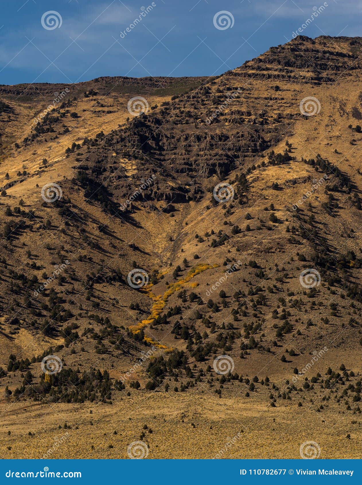 High Desert Mountains in Oregon Stock Image - Image of mountain, trees ...