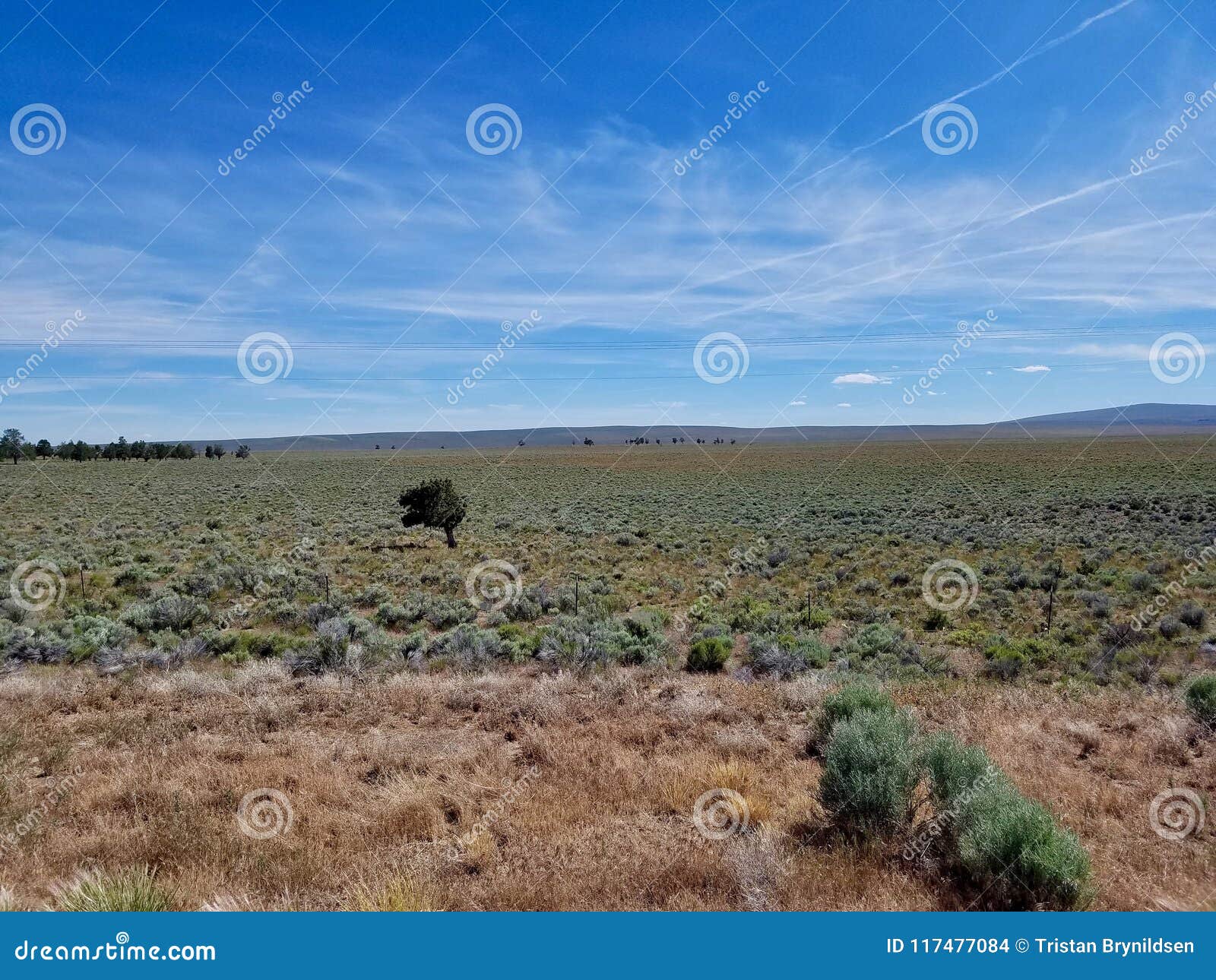 High Desert Plains in Central Oregon, USA Stock Photo - Image of ...
