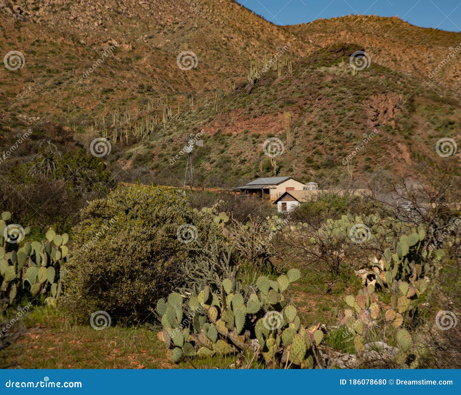 High desert ranch house. stock photo. Image of ranch - 186078680