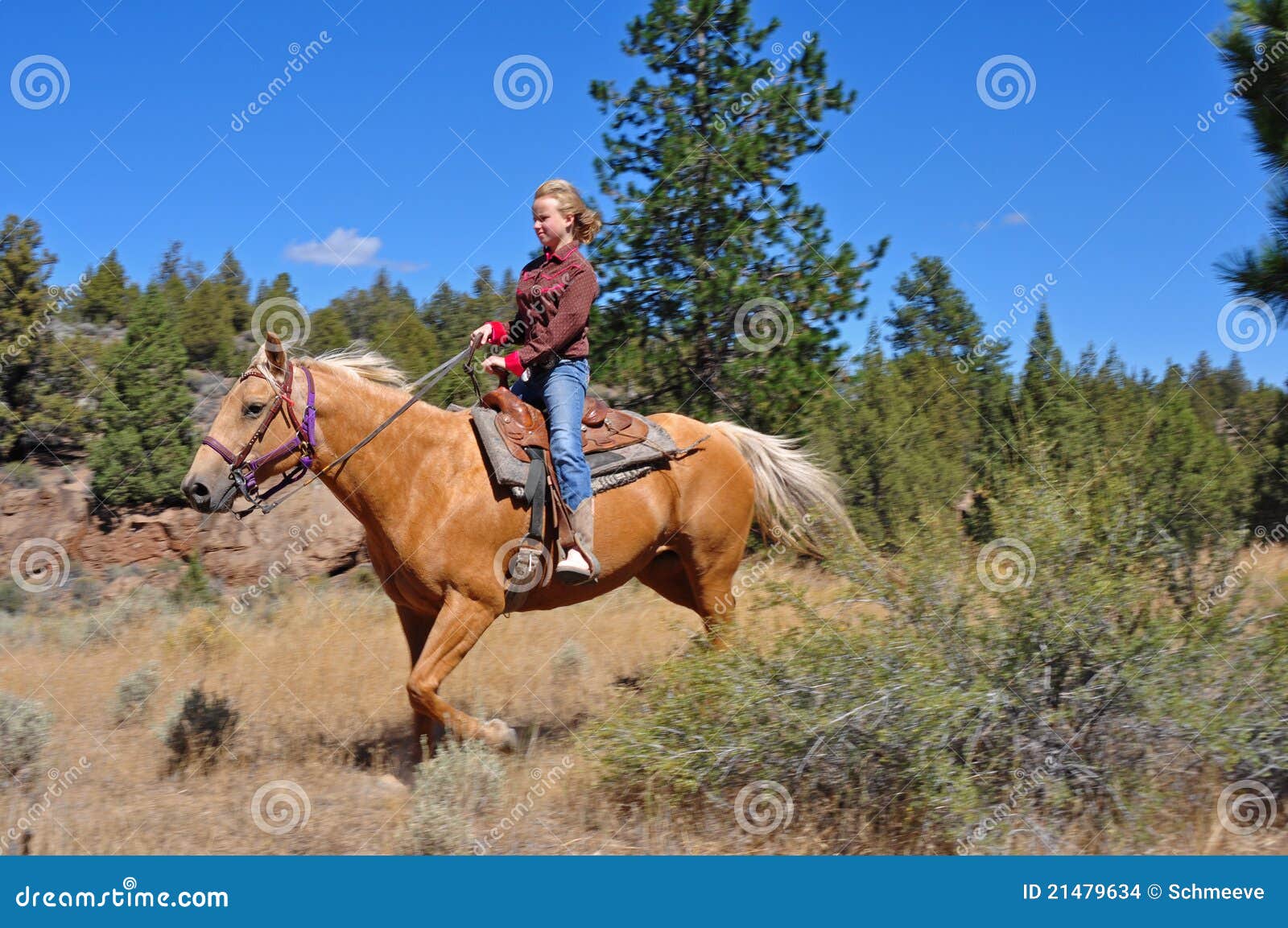 High Desert Riding stock photo. Image of horseback, sunlight - 21479634