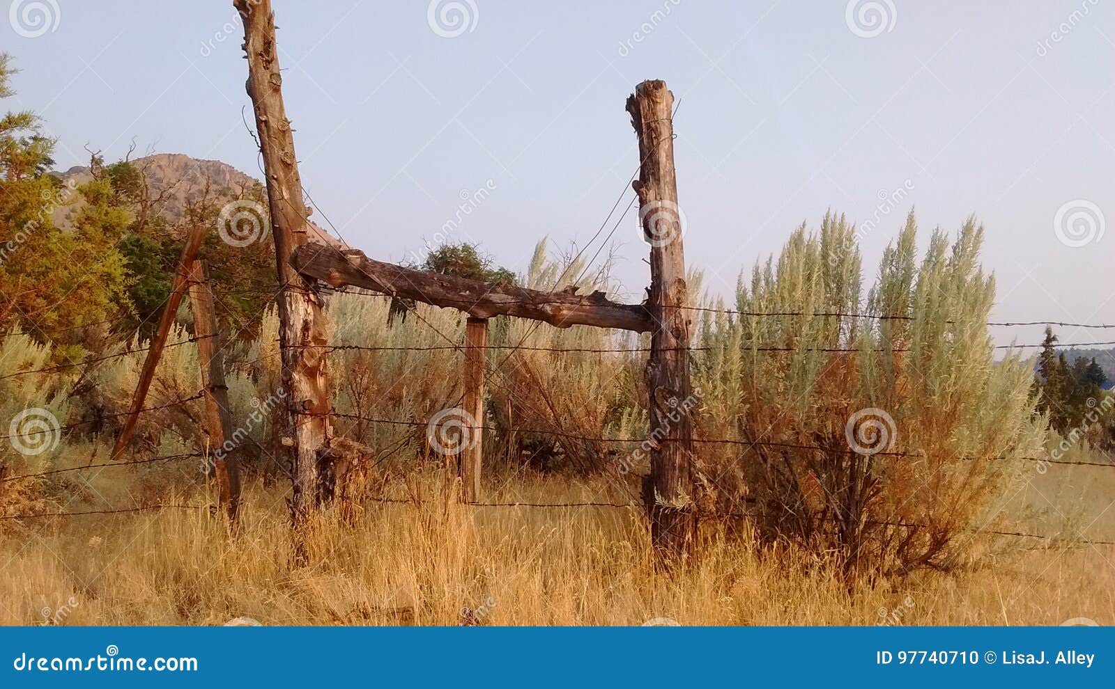 High Desert sage stock photo. Image of ecoregion, central - 97740710