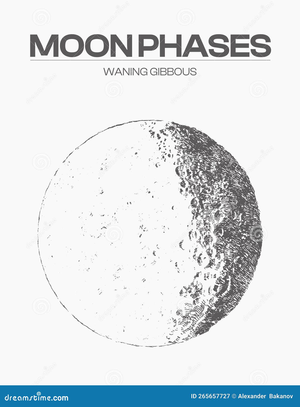 High Detail Sketch of Moon Phase, Cycle, Stage Stock Vector ...