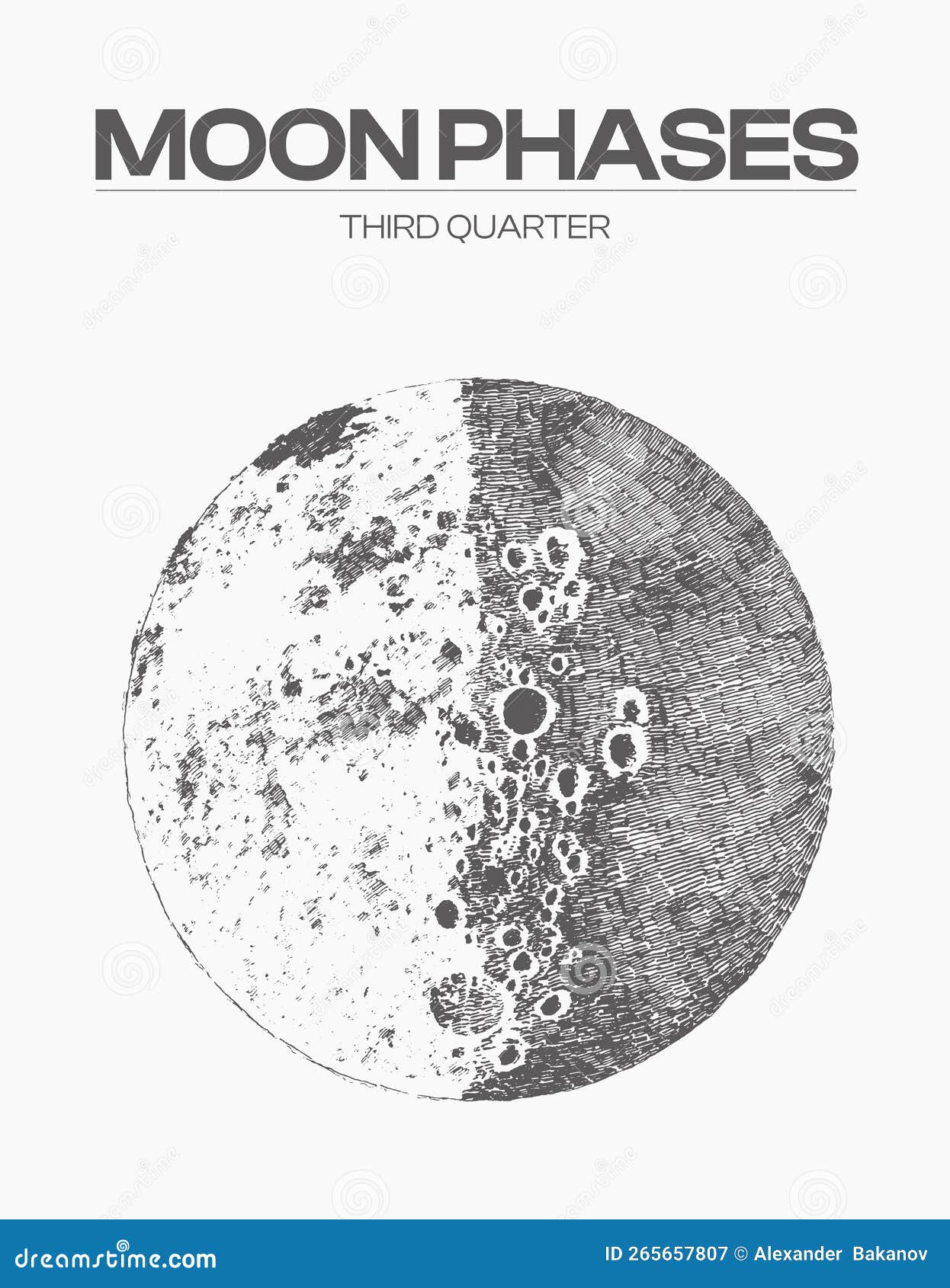 High Detail Sketch of Moon Phase, Cycle, Stage Stock Vector ...