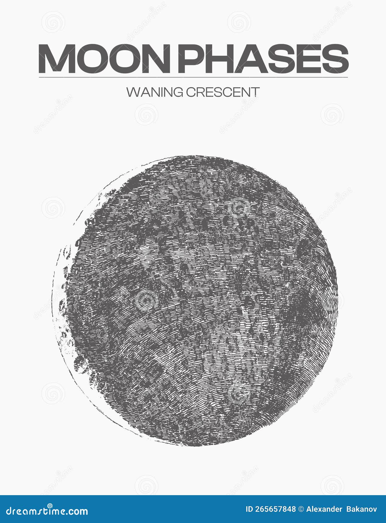 High Detail Sketch of Moon Phase, Cycle, Stage Stock Vector ...