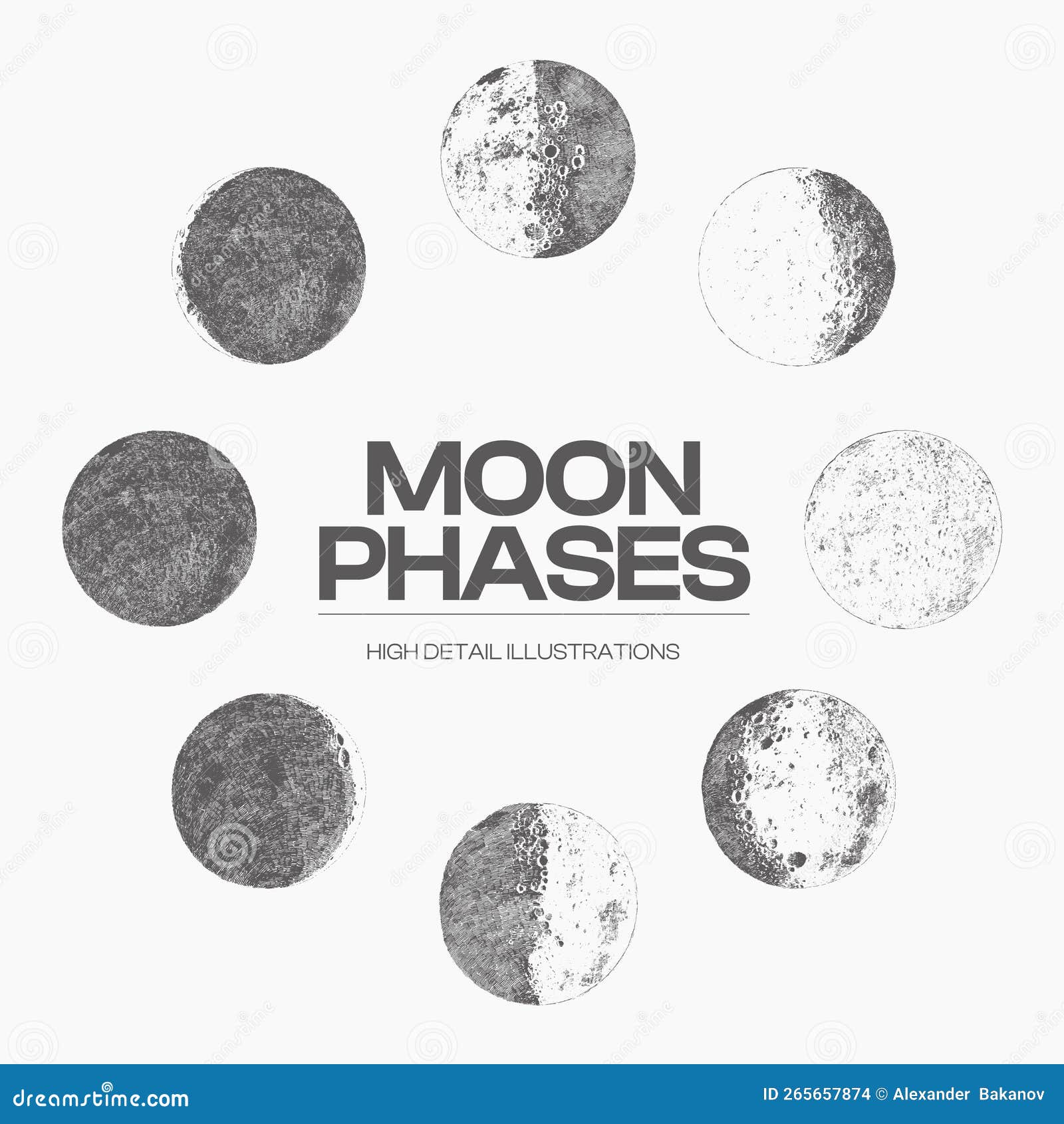 High Detail Sketch of Moon Phase, Cycle, Stage Stock Vector ...