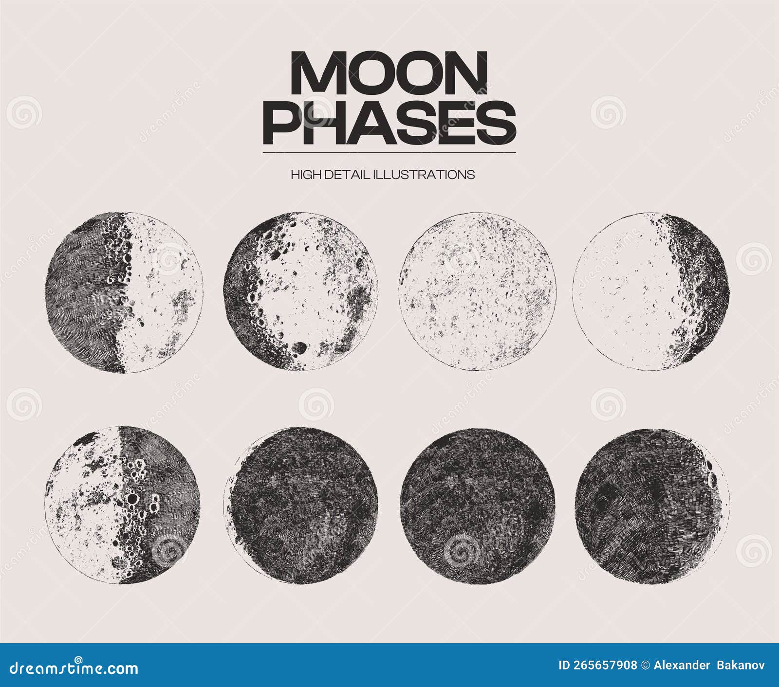 High Detail Sketch of Moon Phase, Cycle, Stage Stock Vector ...