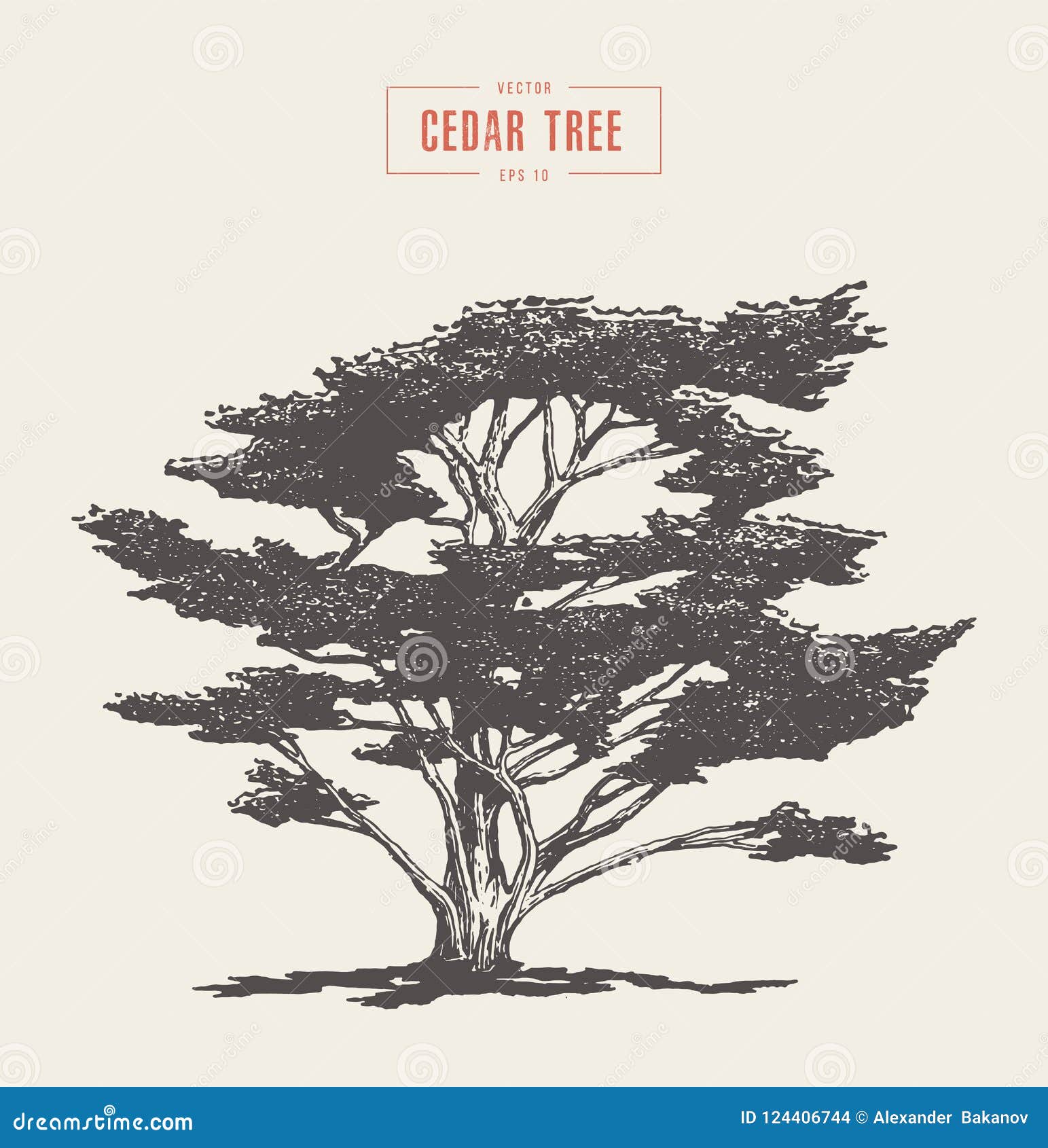 Cedar Cartoons, Illustrations & Vector Stock Images - 21706 Pictures to ...