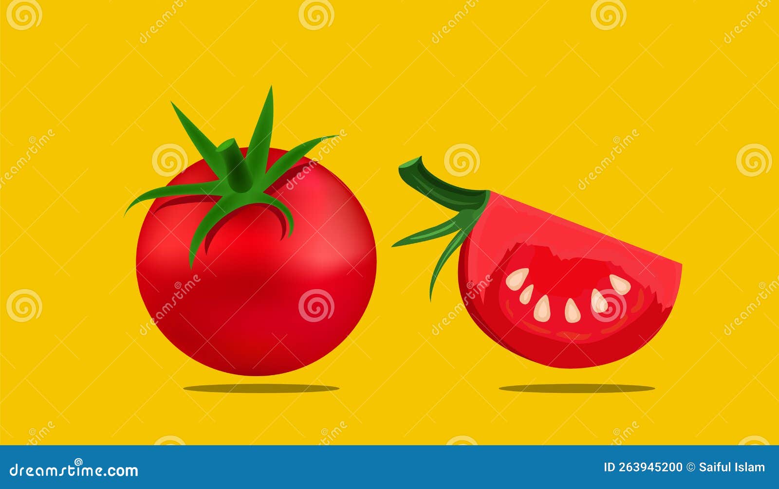 High Detailed Design Tomato Vectors and Illustration Stock Vector ...