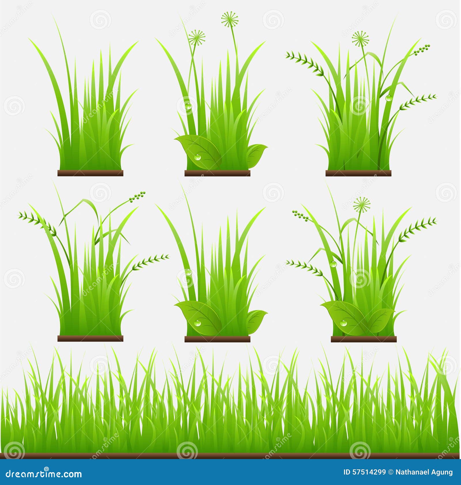 High Detailed Grass Illustration Stock Vector - Illustration of fresh ...