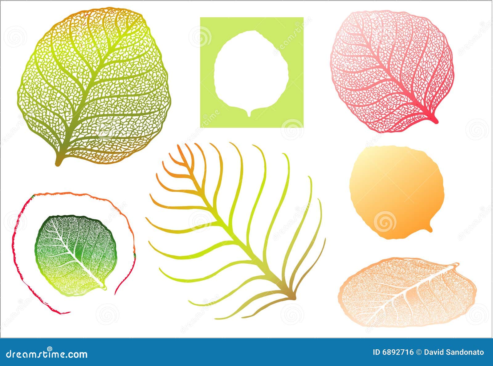 High detailed leaf stock vector. Illustration of sign - 6892716