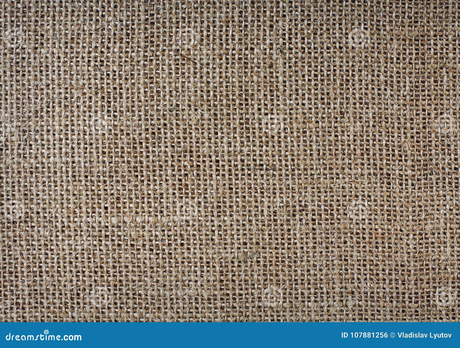 High Detailed Texture of a Burlap Material. Stock Photo - Image of ...