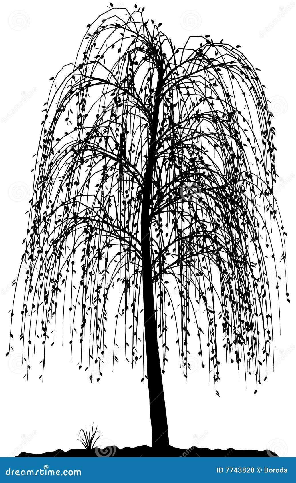 Detailed Oak Tree With Leaves, Trunk And Root Isolated On White ...