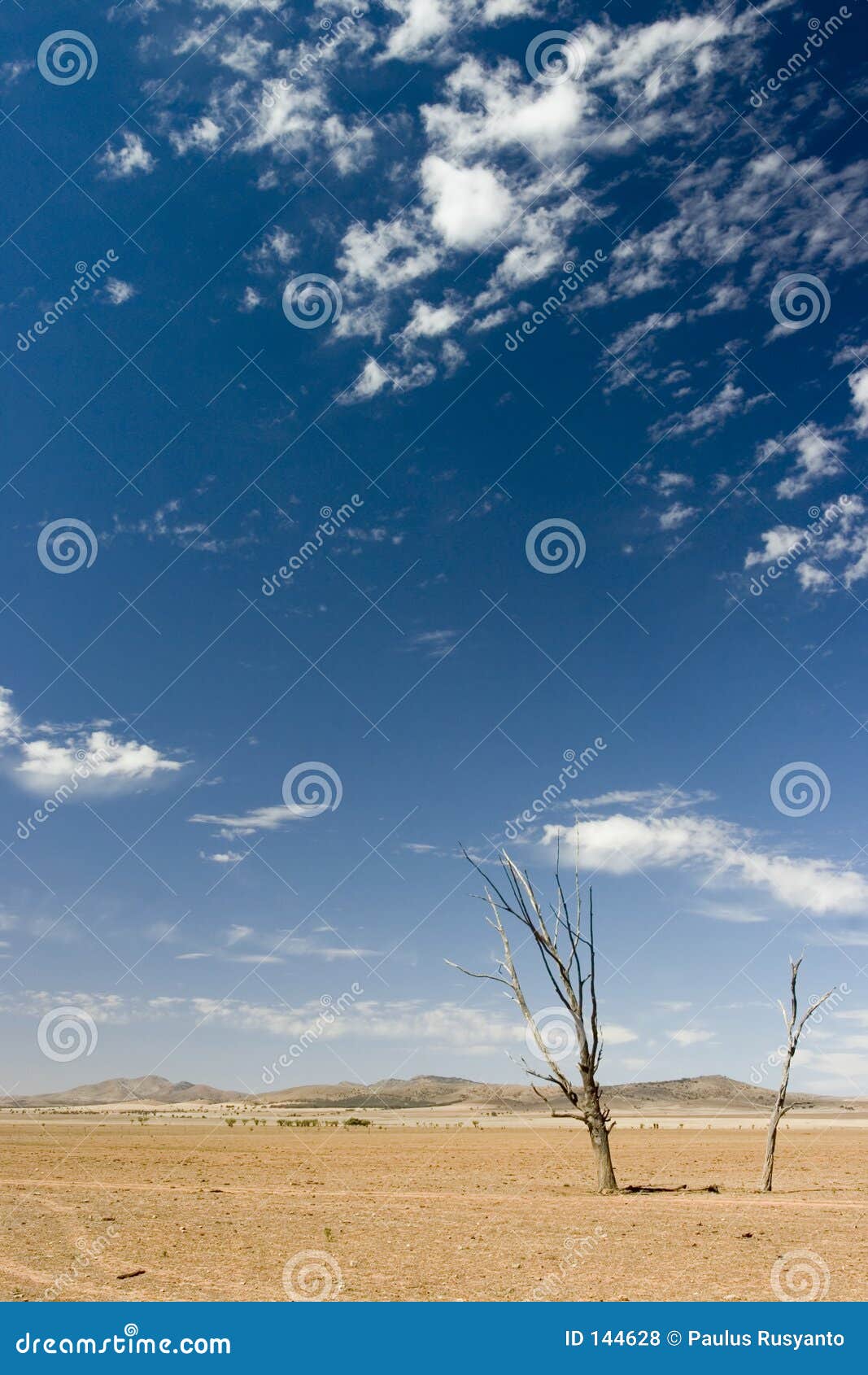 High and Dry stock photo. Image of care, country, postcard - 144628