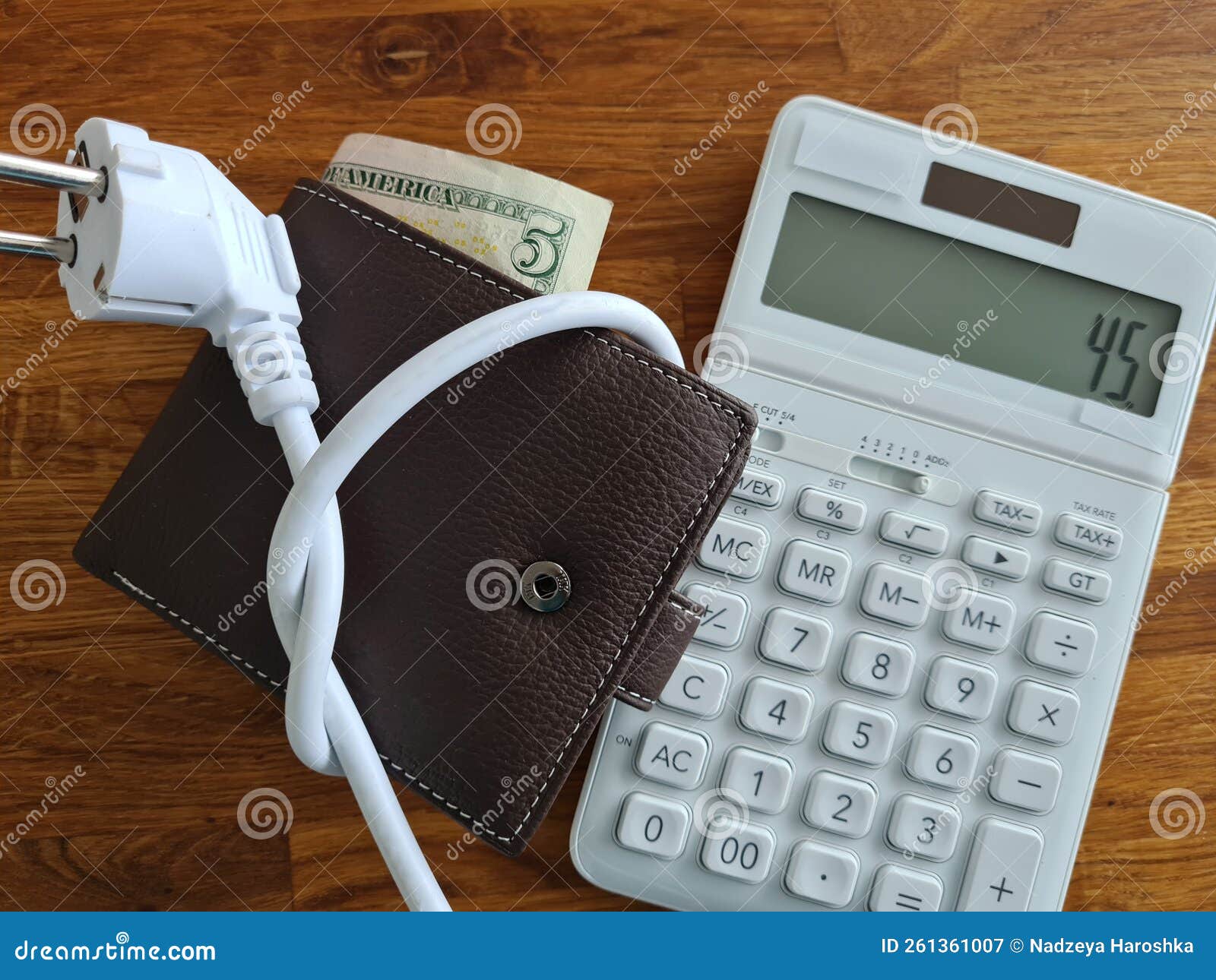 High Economic Cost of Electricity and Increase in Electricity Tariffs ...