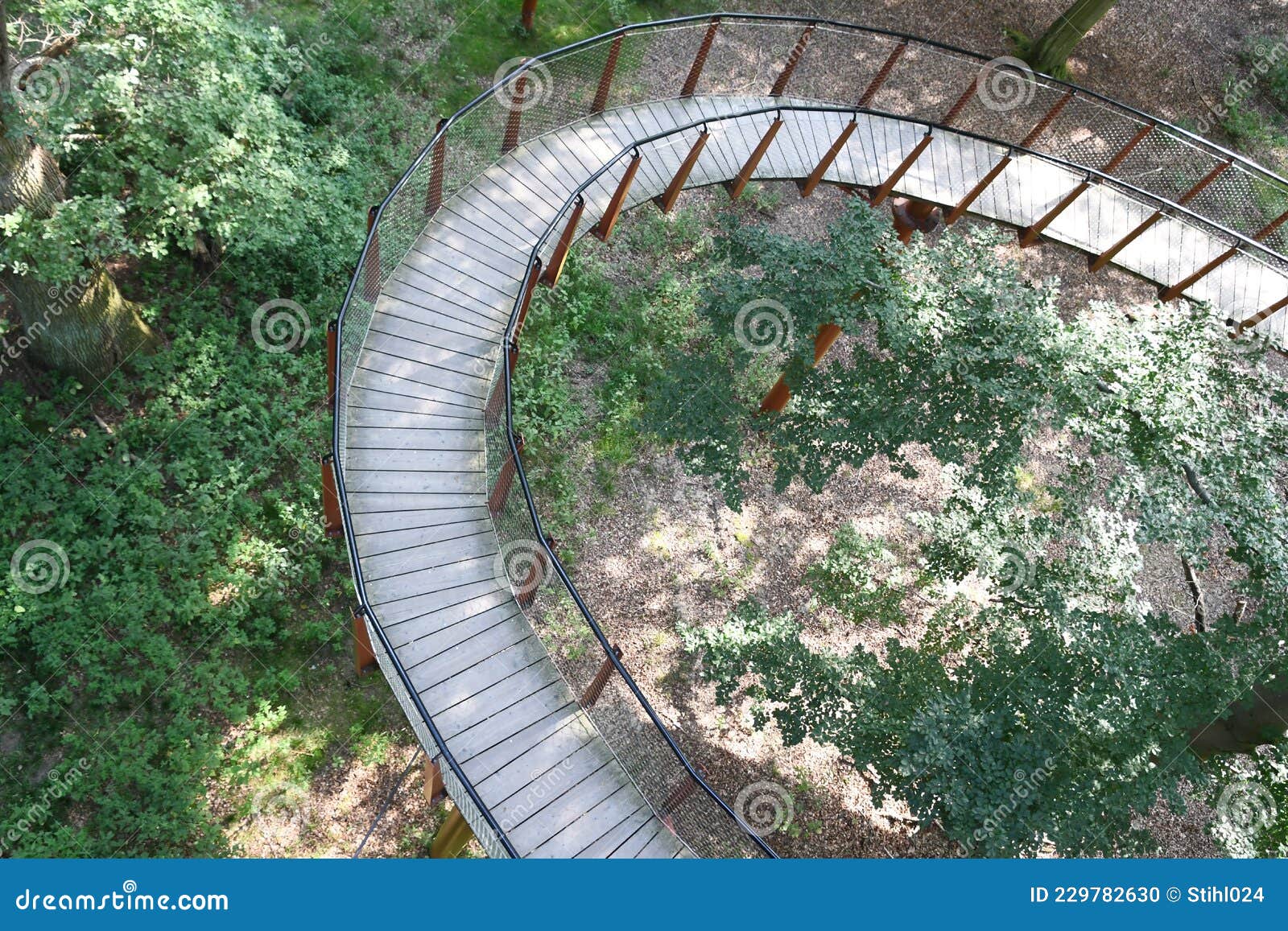 High Elevated Handrailed Walkway in Forest Stock Photo - Image of ...
