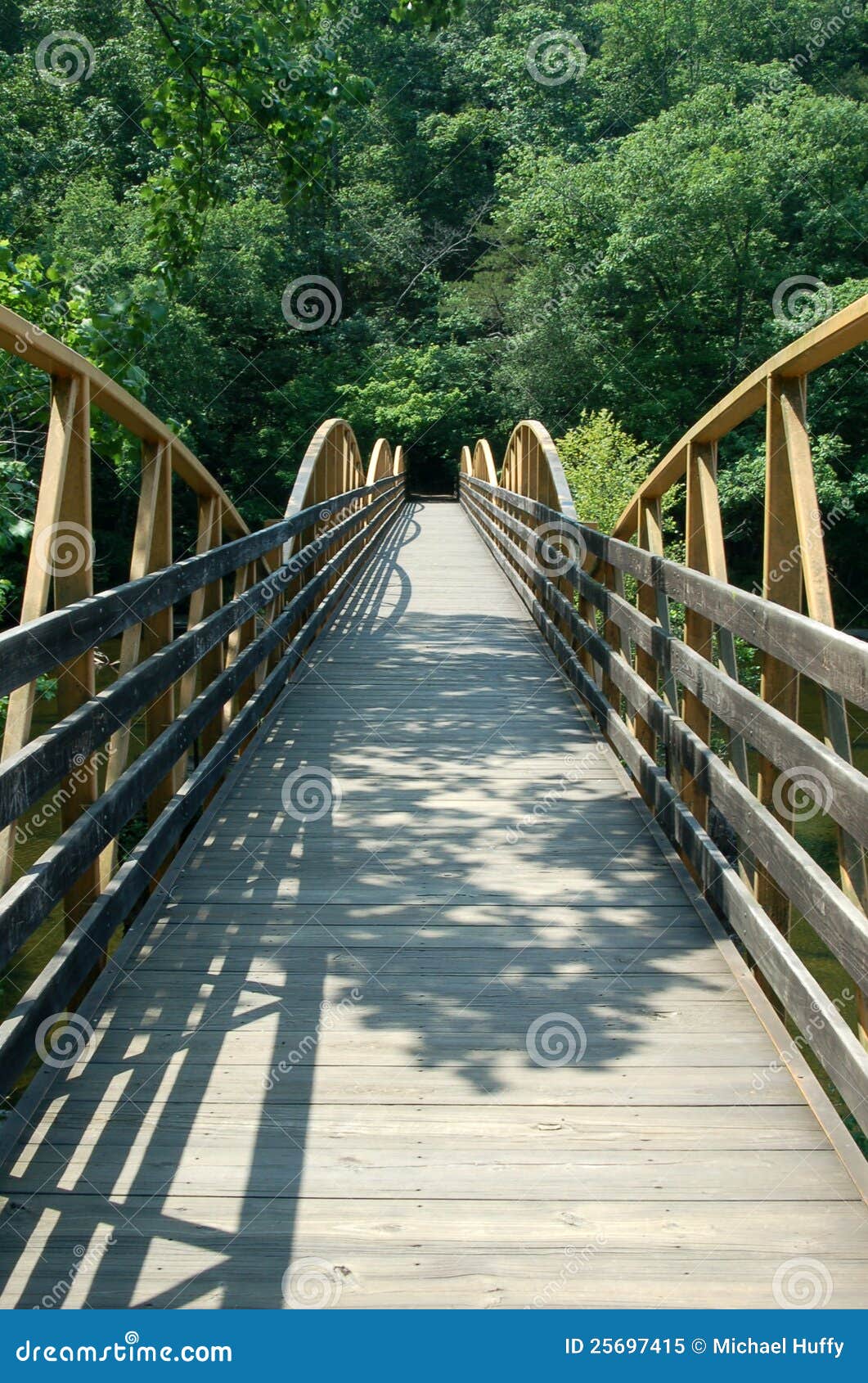 High Falls Bridge stock image. Image of high, arch, woods - 25697415
