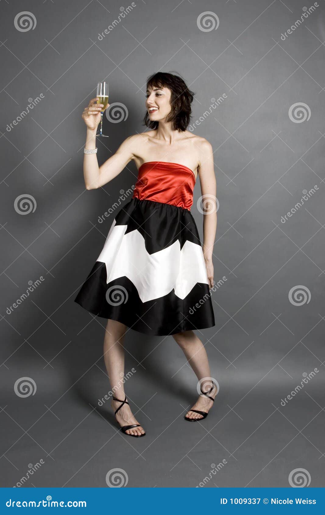 High Fashion and Champaign stock image. Image of caucasian - 1009337