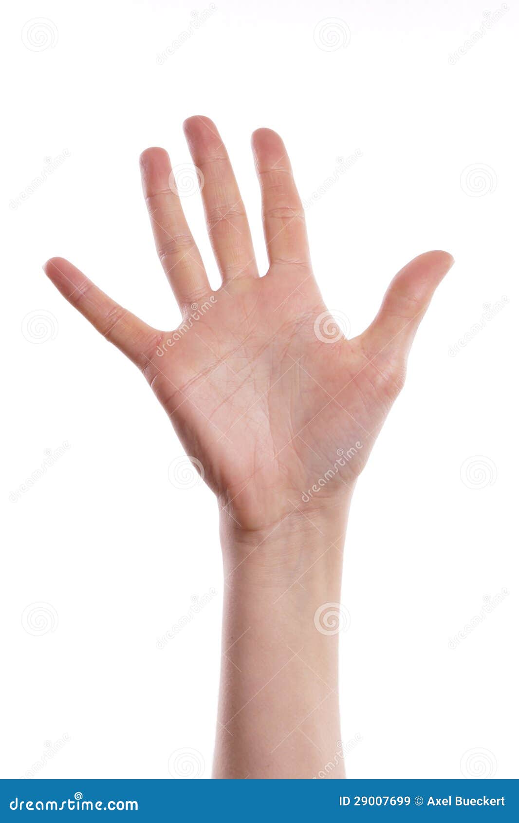 High five stock image. Image of symbol, gesture, palm - 29007699
