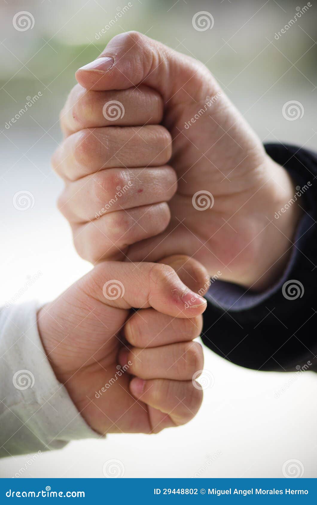 High five stock photo. Image of friends, hands, adult - 29448802