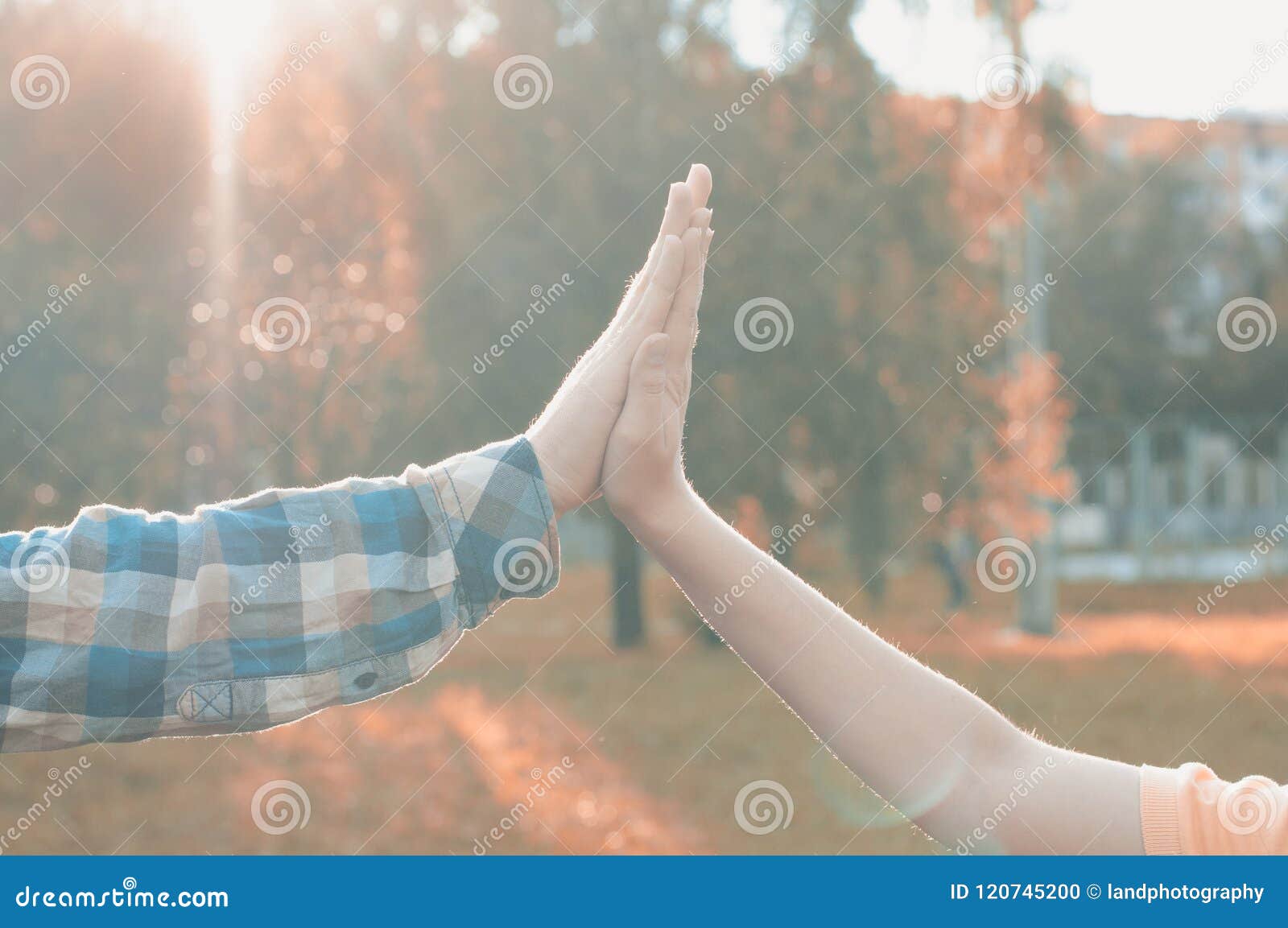 High Five on Air in the Summer Park Stock Photo - Image of leisure ...
