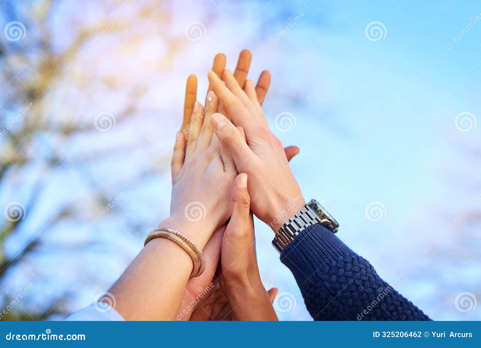 High Five, Connection and Hands for Support with People in Nature for ...