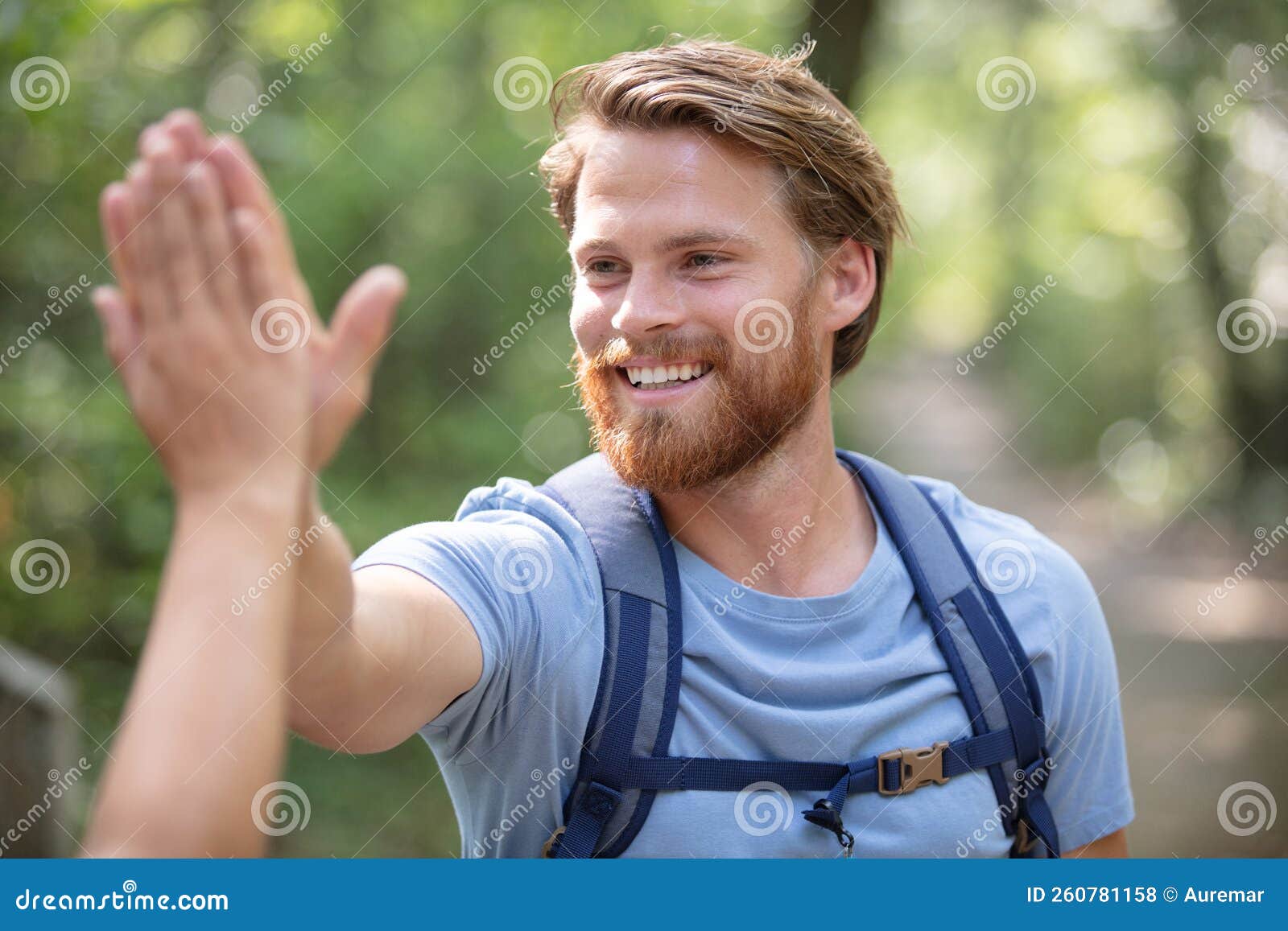 High five in forest stock photo. Image of hands, group - 260781158
