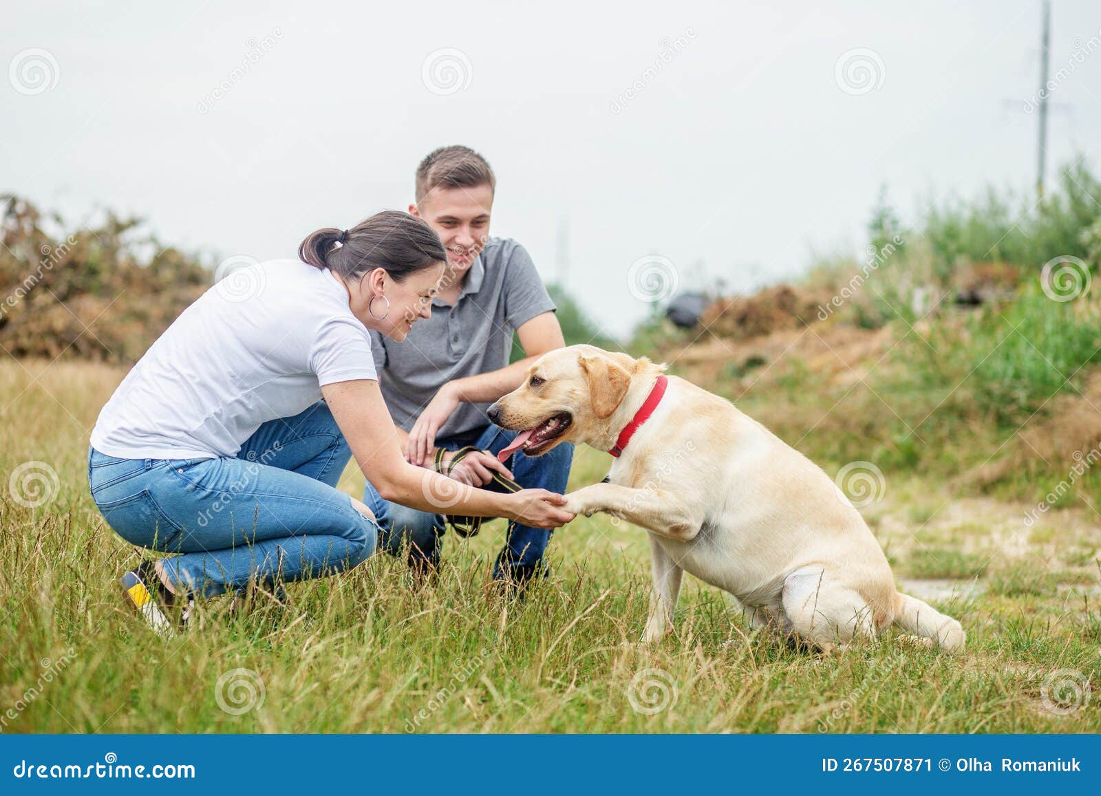 High Five. Teamwork between Girl, Guy and Dog. Teaching Your Dog ...