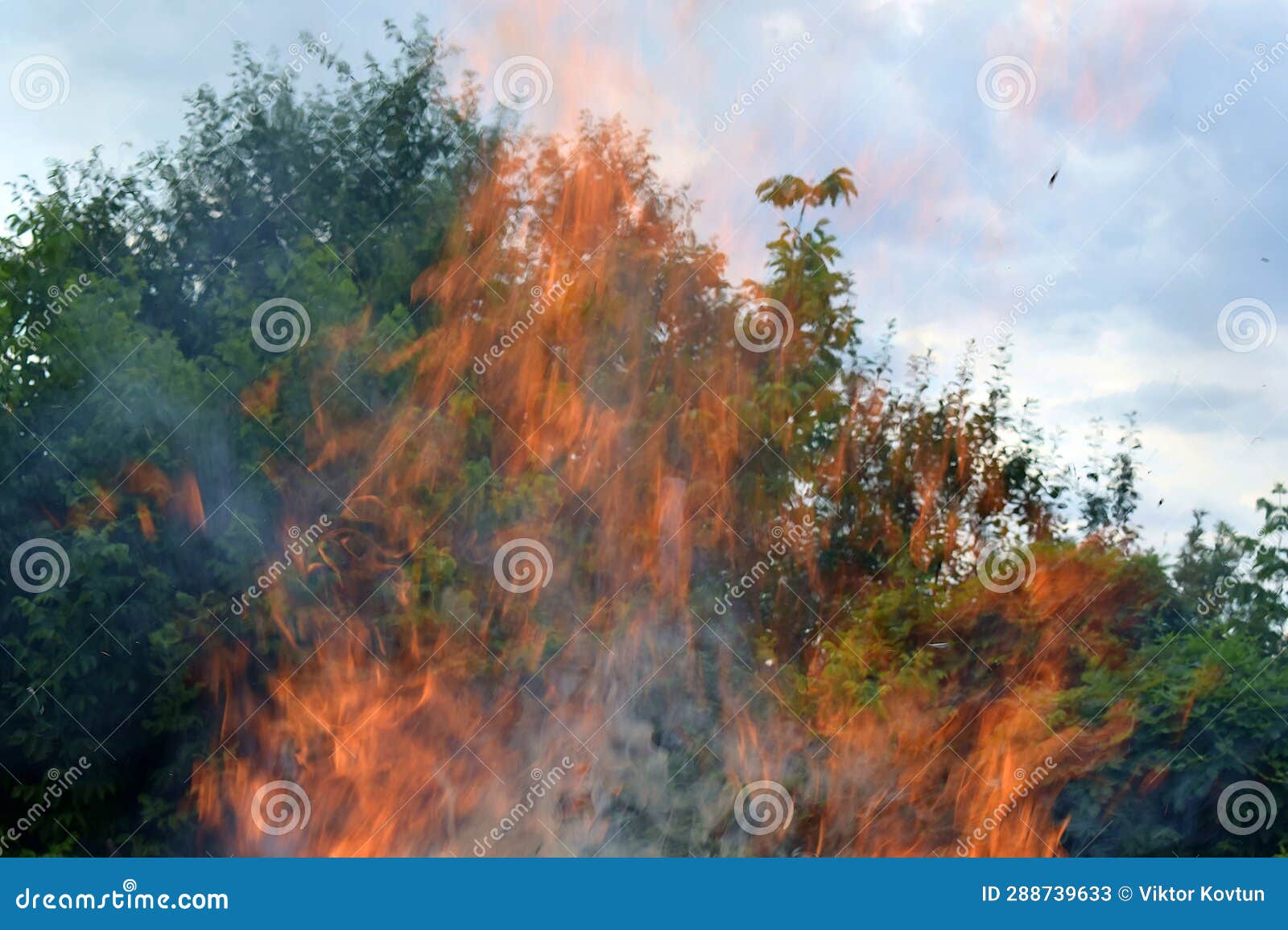 High Flames on the Background of Trees and Sky Stock Image - Image of ...