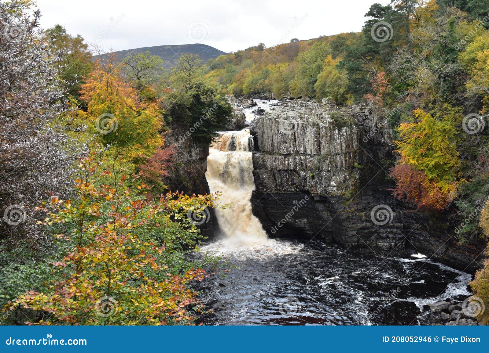 High Force Waterfall Barnard Castle Stock Photo - Image of trail, leaf ...
