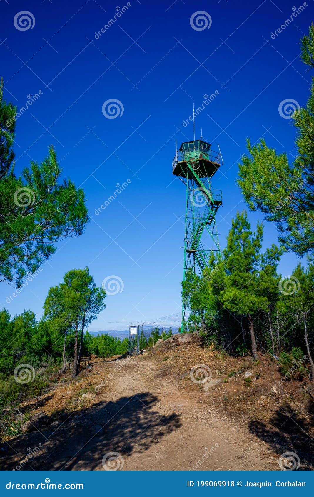 High Forest Watchtower on Top of a Peak Stock Photo - Image of forestry ...