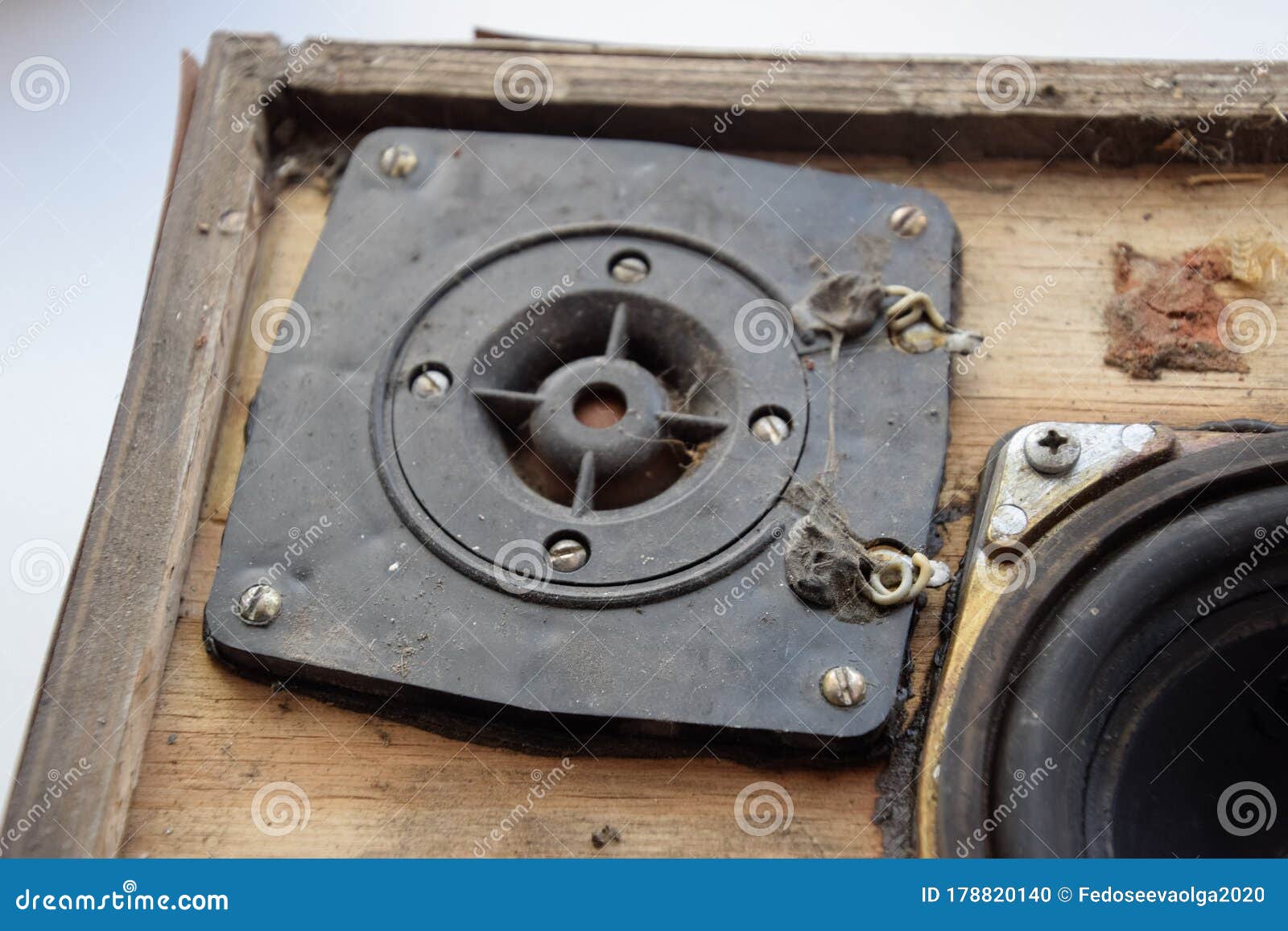 High Frequency Speaker 10gdv-2 with a Silk Membrane of the Frequency ...