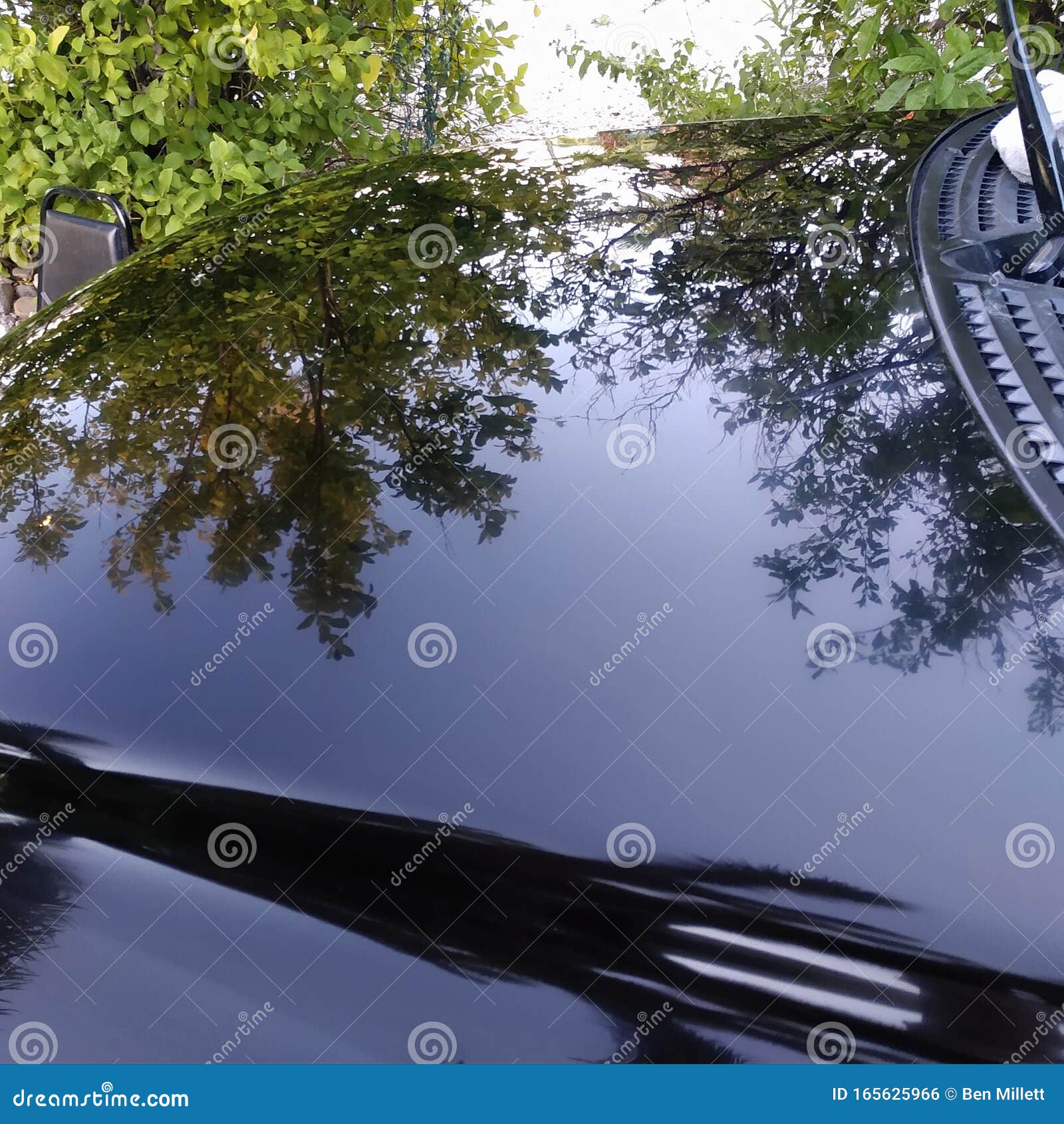 High-gloss Mirror-finish Wet Mind-tricks Perfect Editorial Photo ...