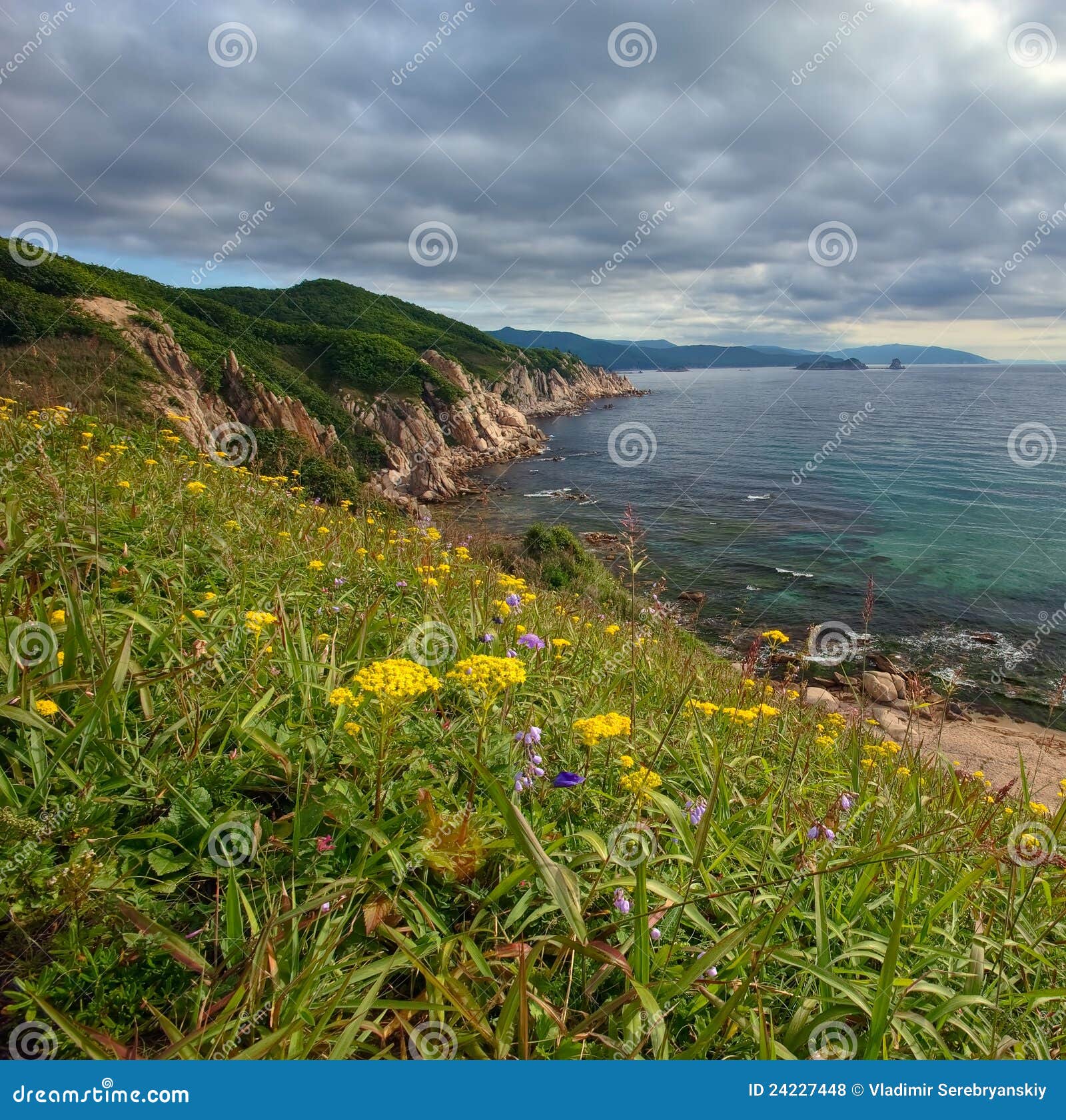 The high grass. stock photo. Image of people, grass, landscape - 24227448