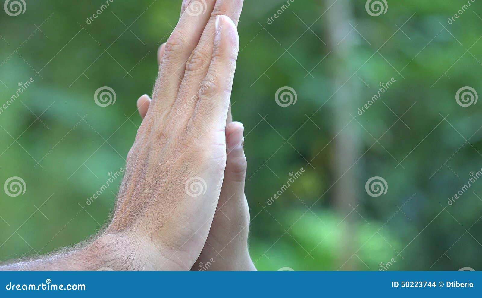 High 5, Hand Slap stock footage. Video of human, hand - 50223744