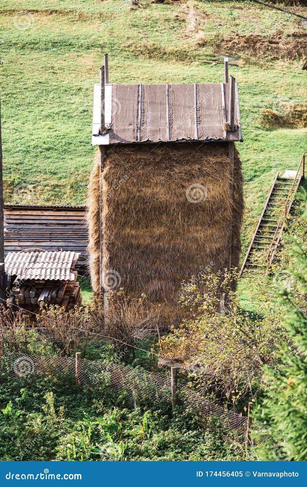 High Hayloft with Dry Hay. Agriculture Stock Image - Image of grass ...