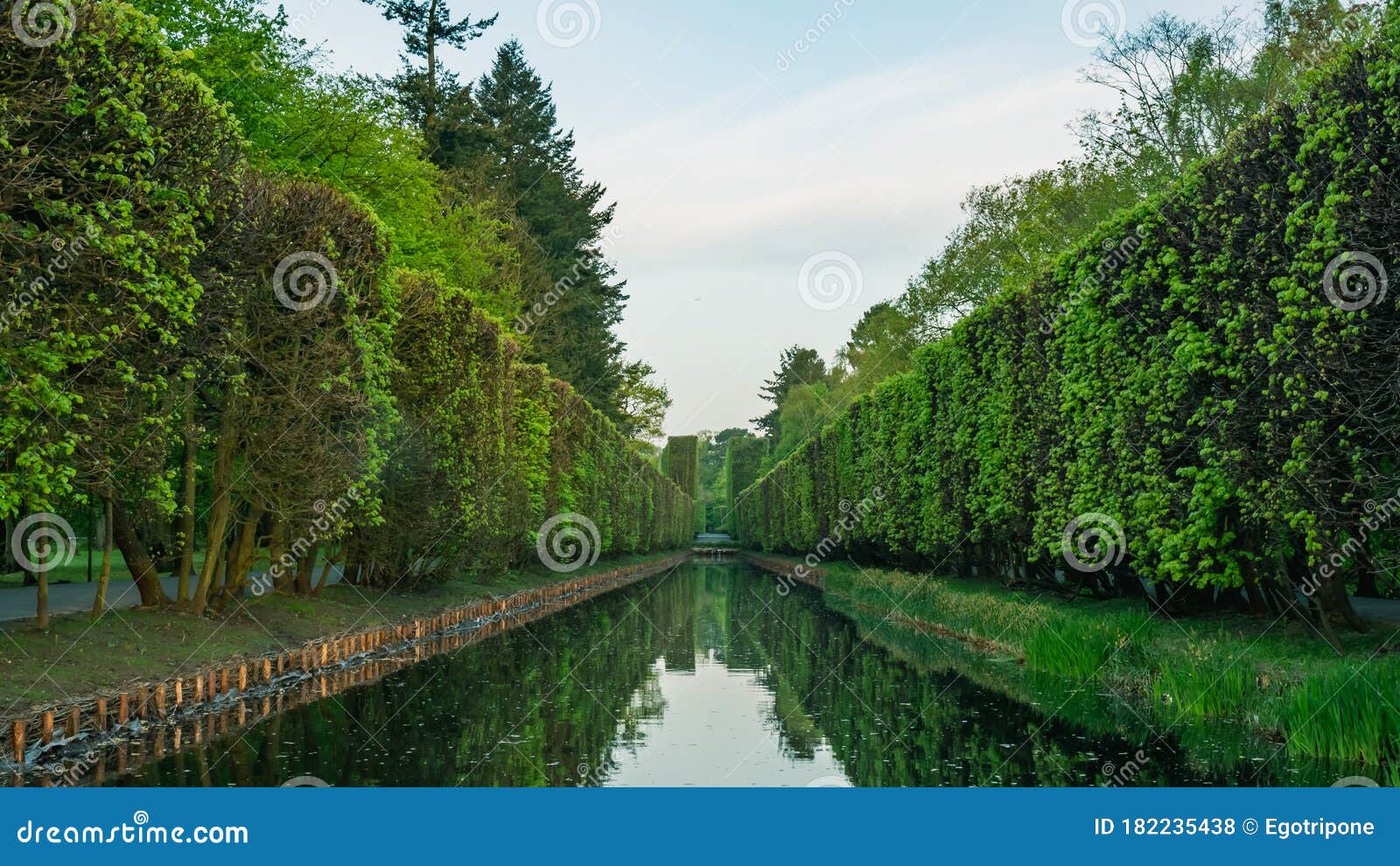 High Hedge, Clouds and Its Reflection in the Pond at the Oliwa Park in ...
