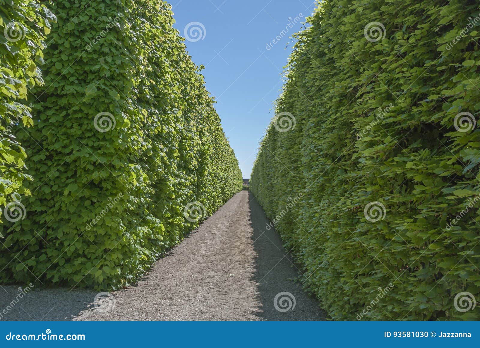 High Hedges at Egeskov Park in Denmark Stock Photo - Image of wall ...