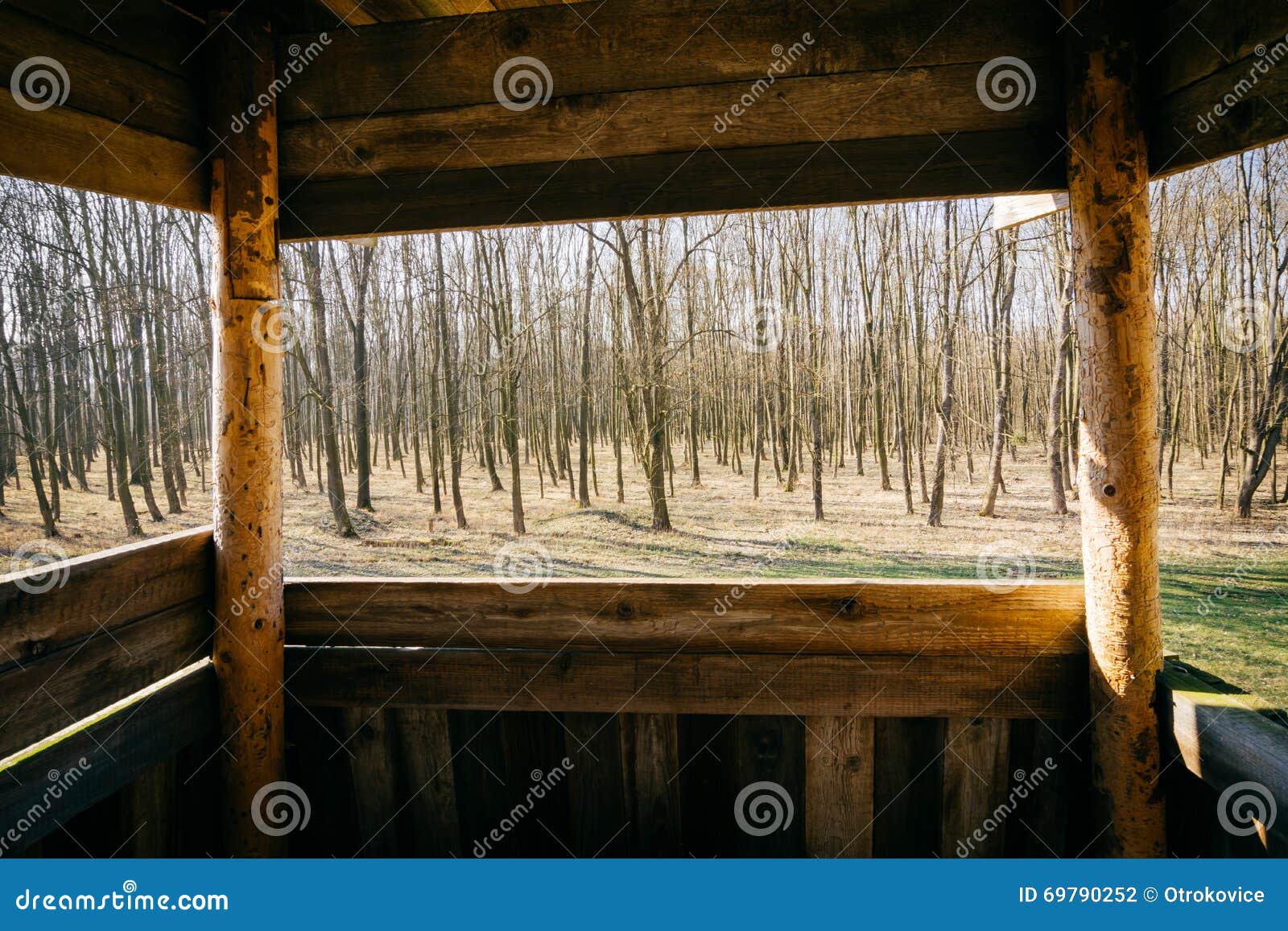 High hide stock photo. Image of animals, field, rural - 69790252