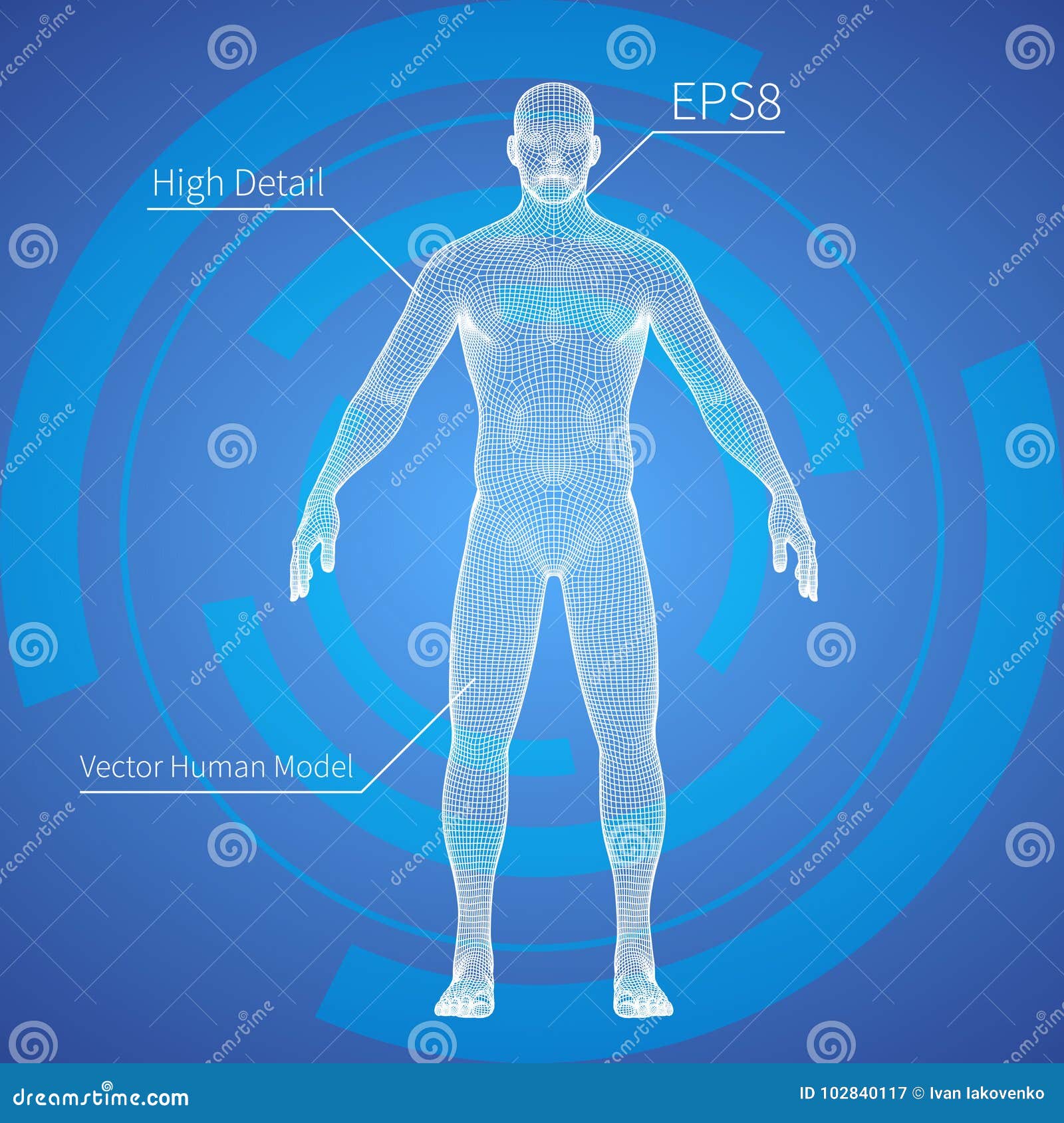High Human Model stock vector. Illustration of anatomy - 102840117