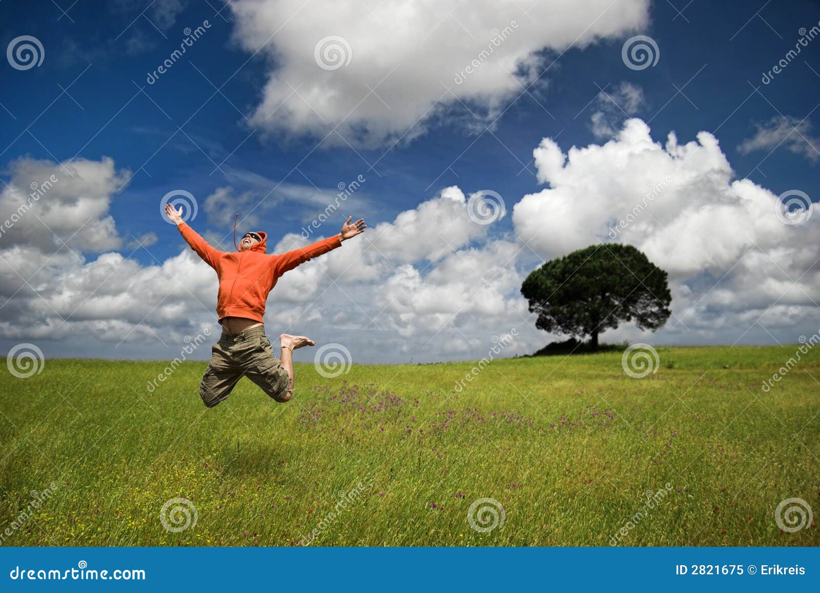 High Jump stock image. Image of shape, action, health - 2821675