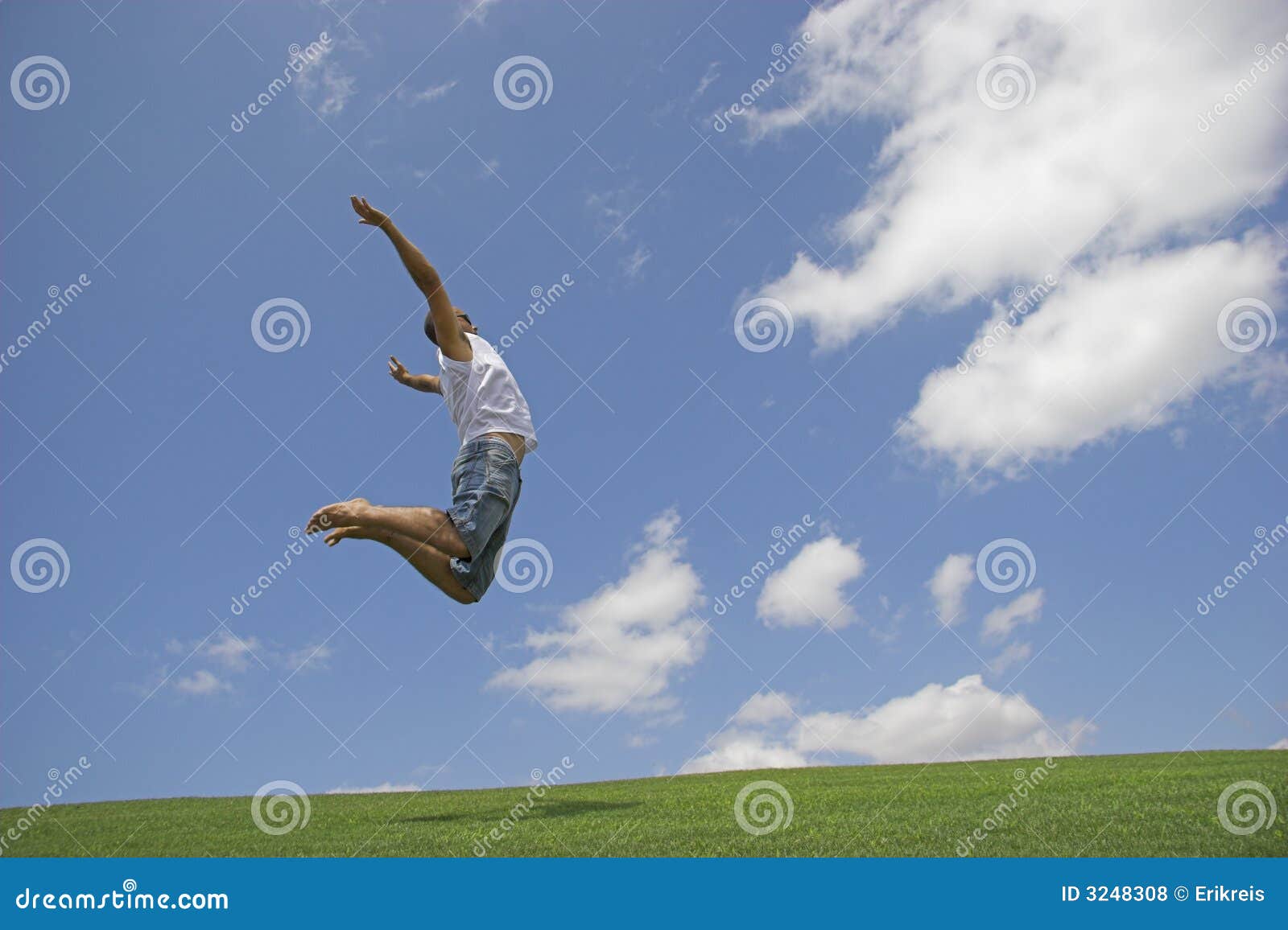 High Jump stock photo. Image of movement, meadow, activity - 3248308