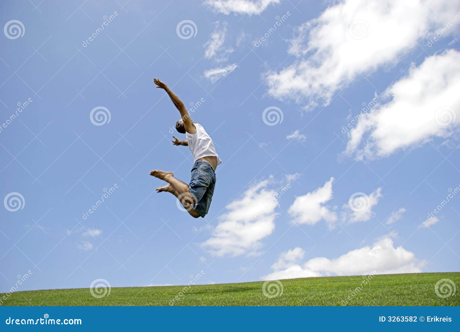 High Jump stock photo. Image of enjoying, field, jumping - 3263582
