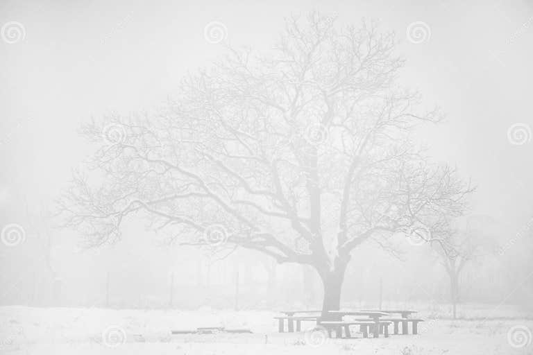 High key winter landscape stock image. Image of beauty - 28752039