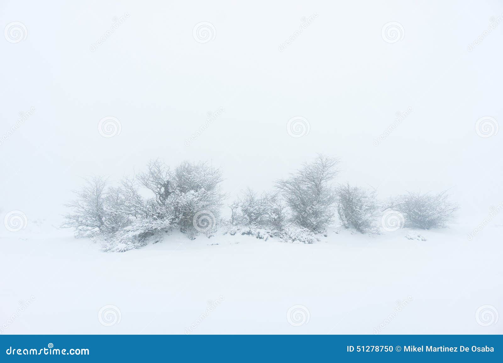 High key winter landscape stock photo. Image of landscape - 51278750